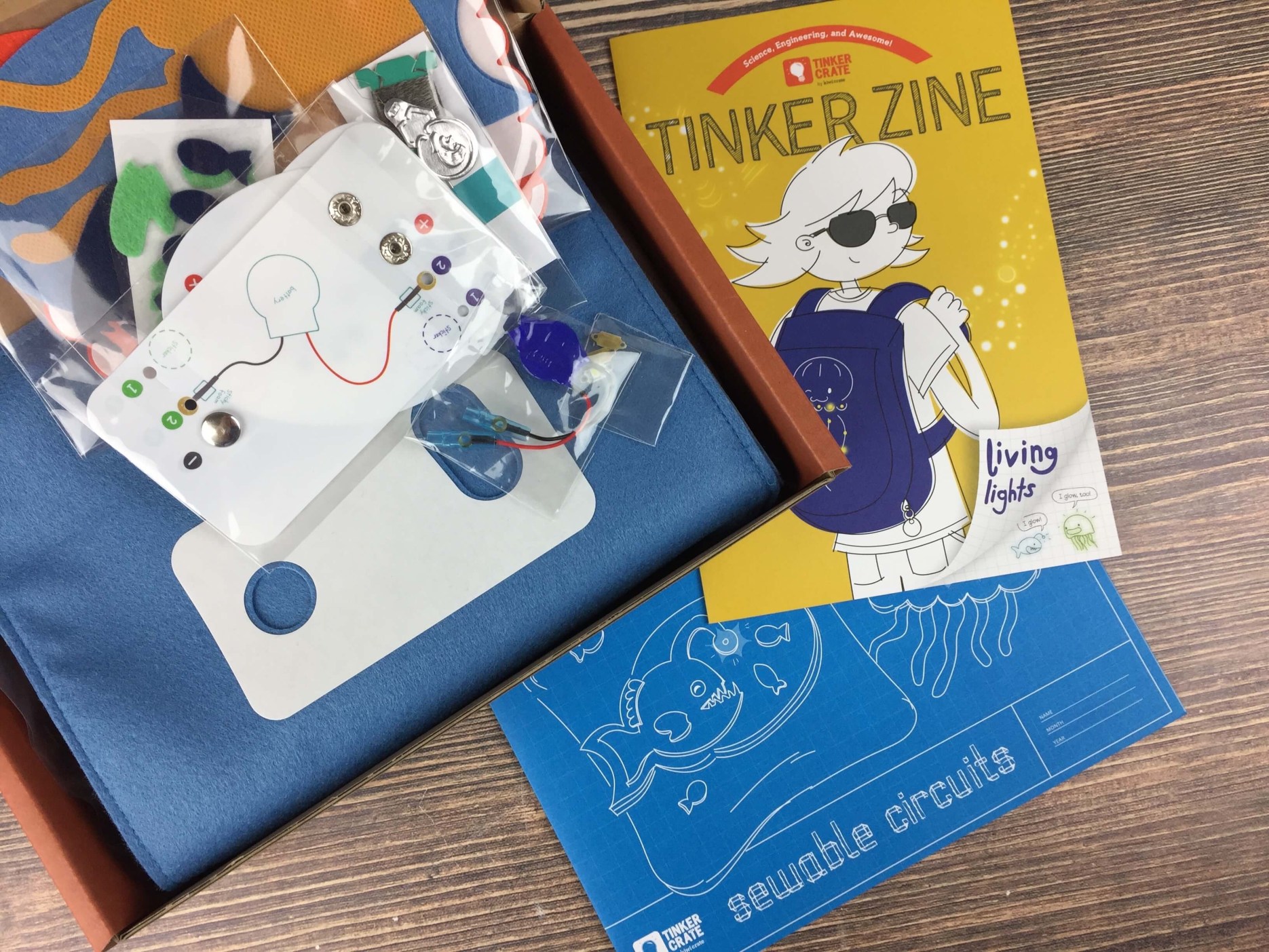 Tinker Crate Review & Coupon - Living Lights! - Hello Subscription