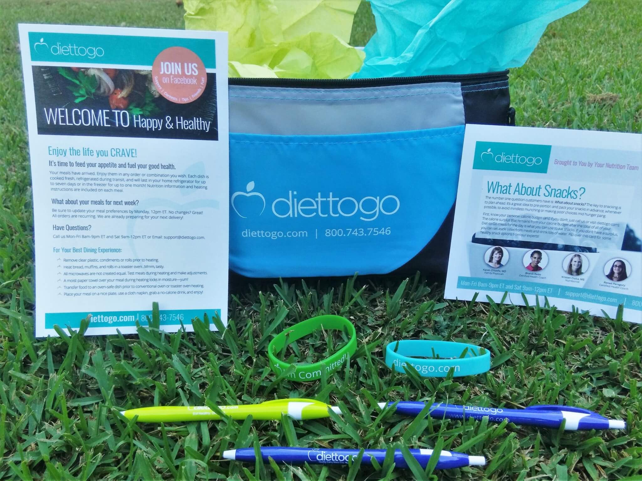 Diet-to-Go Subscription Box Review - September 2016 - Hello Subscription