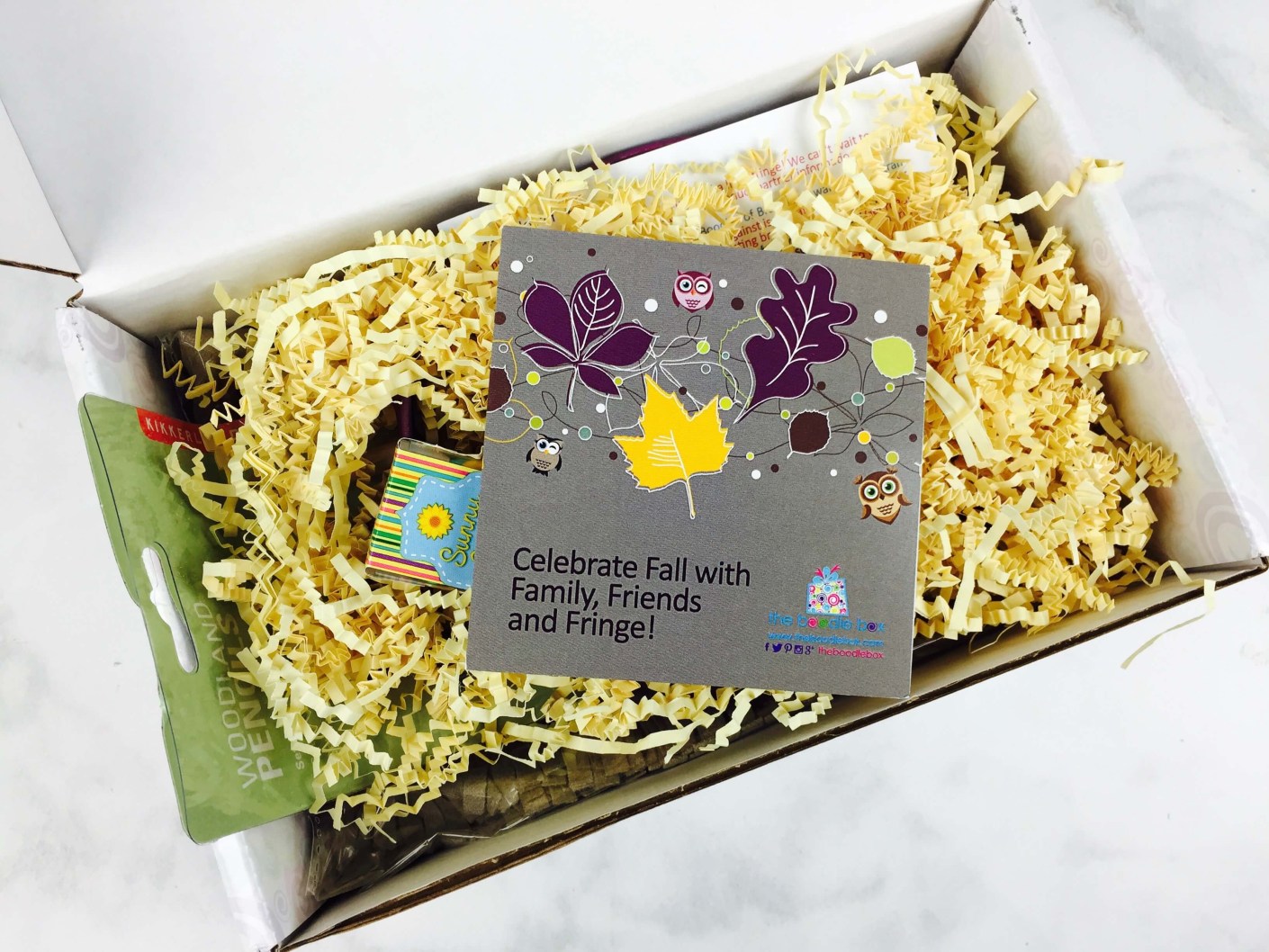 Boodle Box November 2016 Subscription Box Review - Hello Subscription