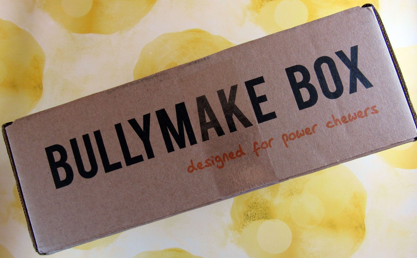 BullyMake Subscription Box Review + Coupon - January 2017 - Hello ...