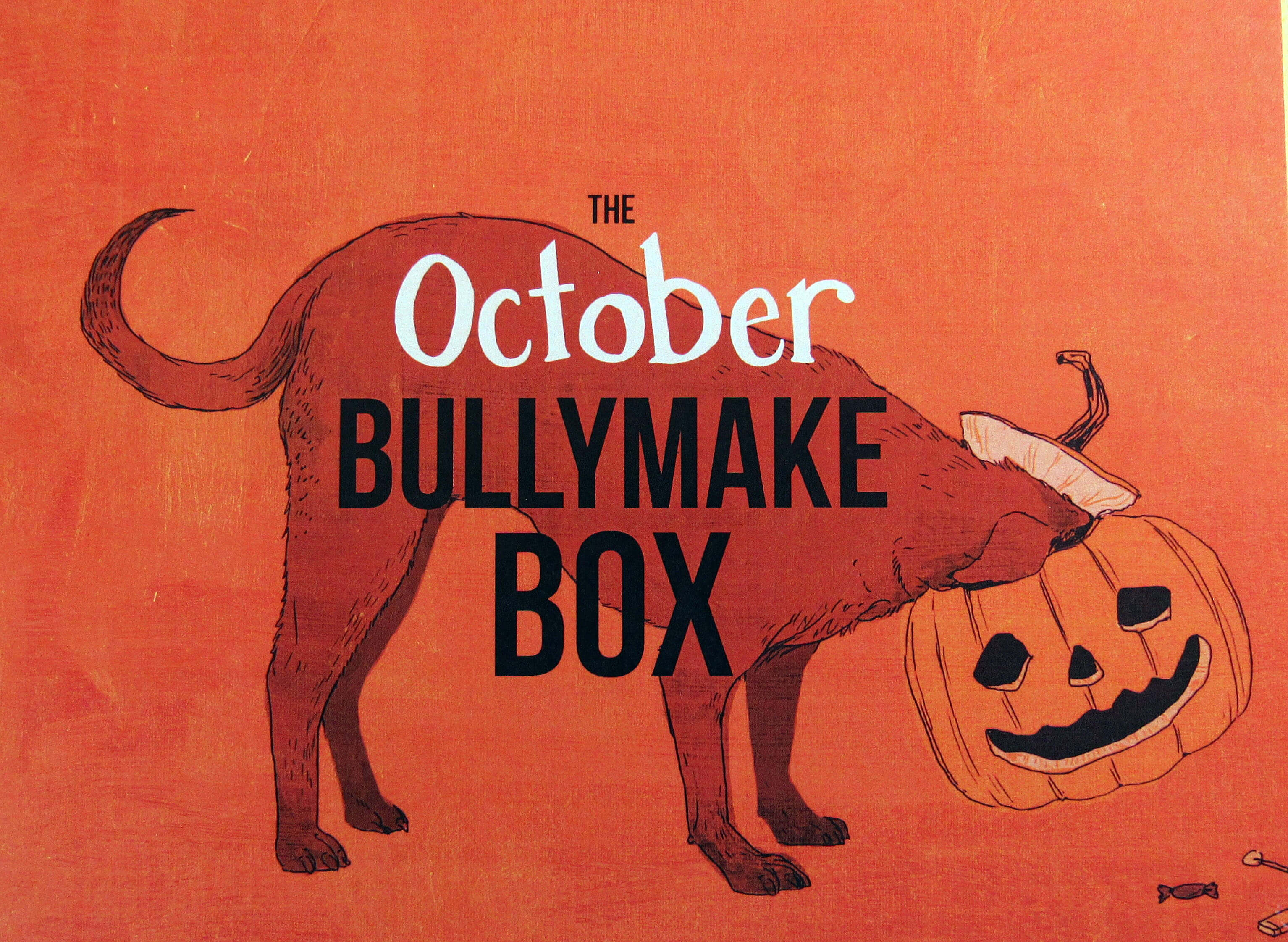 BullyMake Subscription Box Review + Coupon - October 2016 - Hello ...
