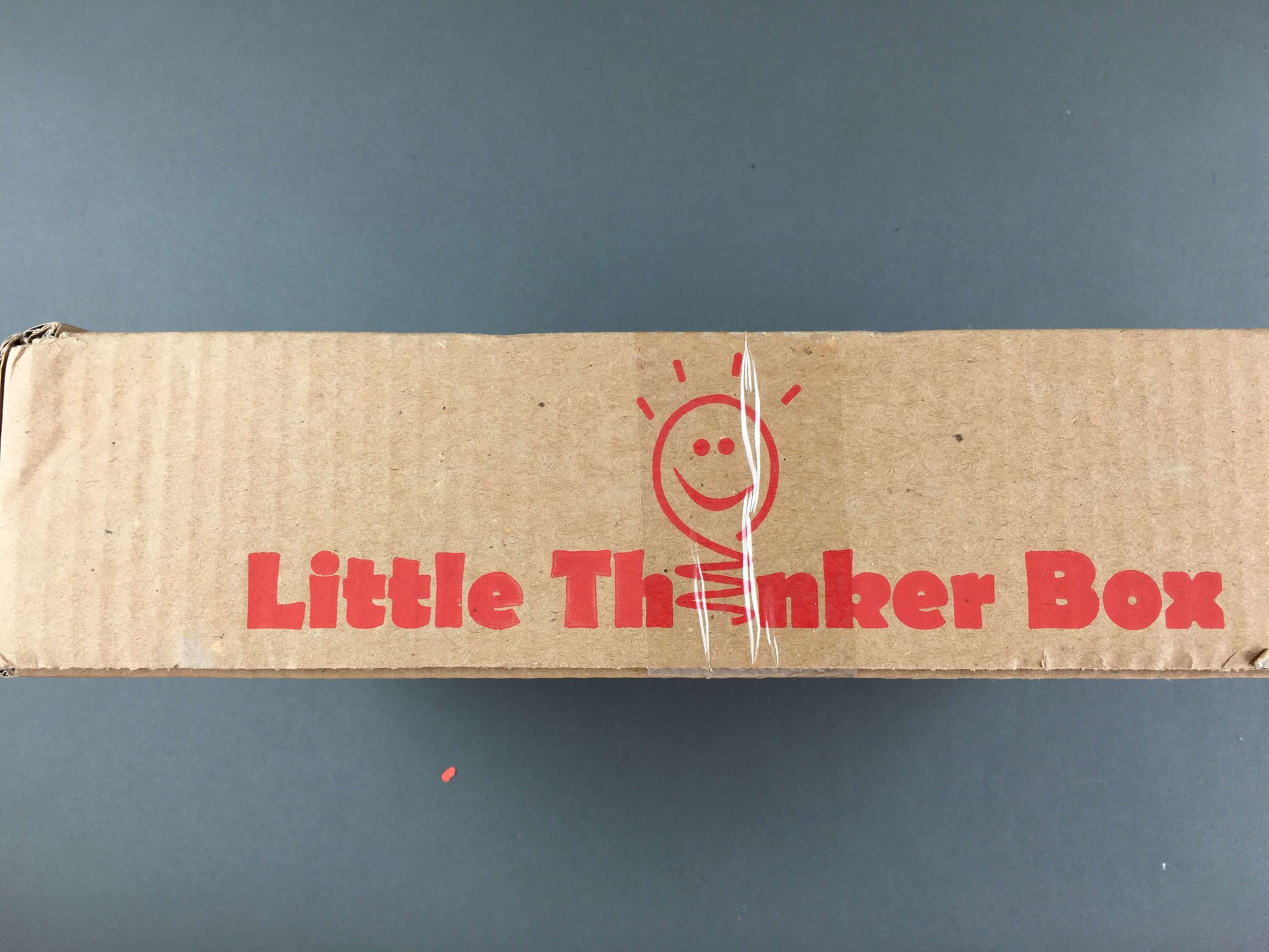 Little Thinker Box Reviews: Get All The Details At Hello Subscription!