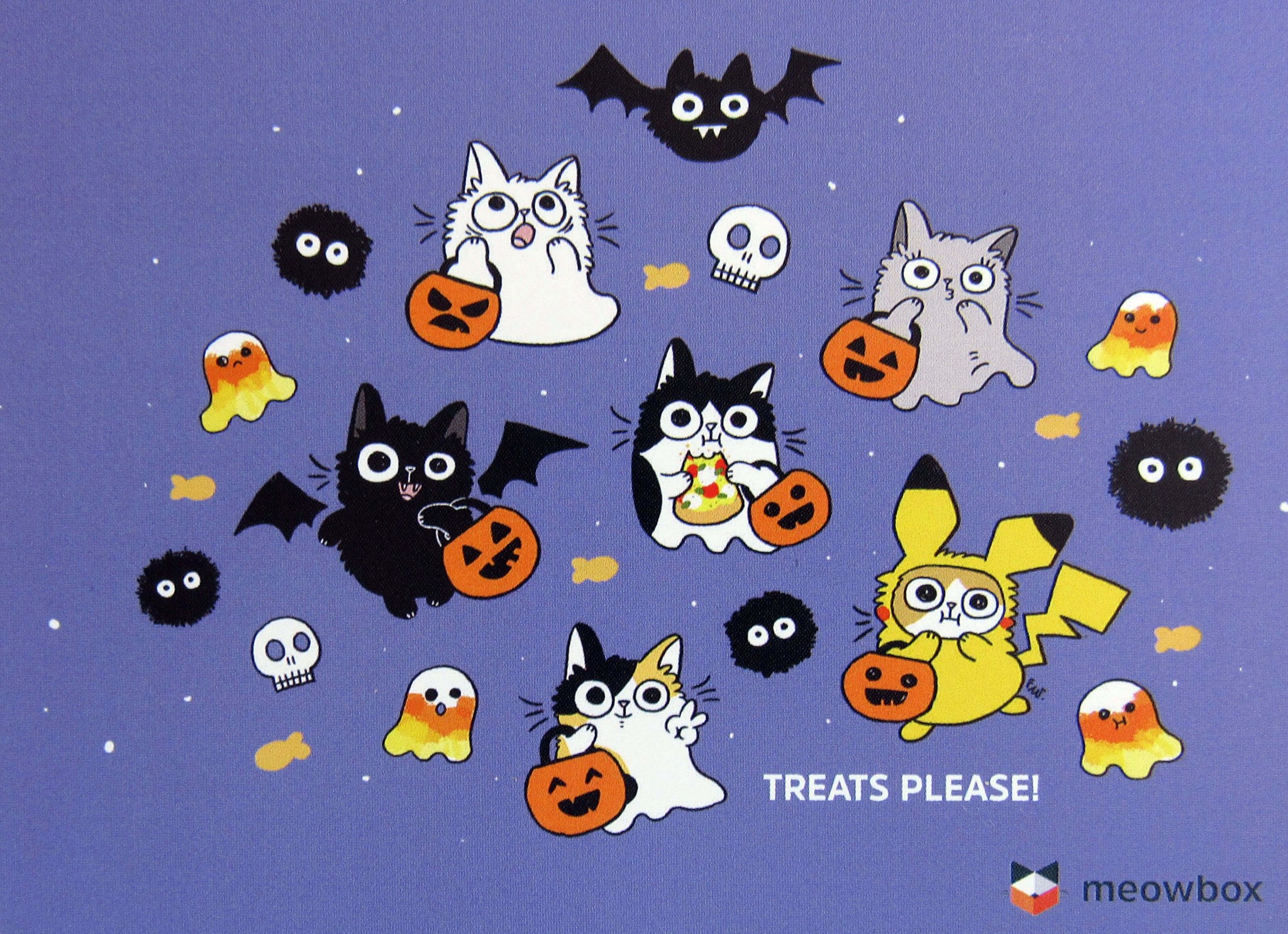 October 2016 Meowbox Subscription Box Review & Coupon - Hello Subscription