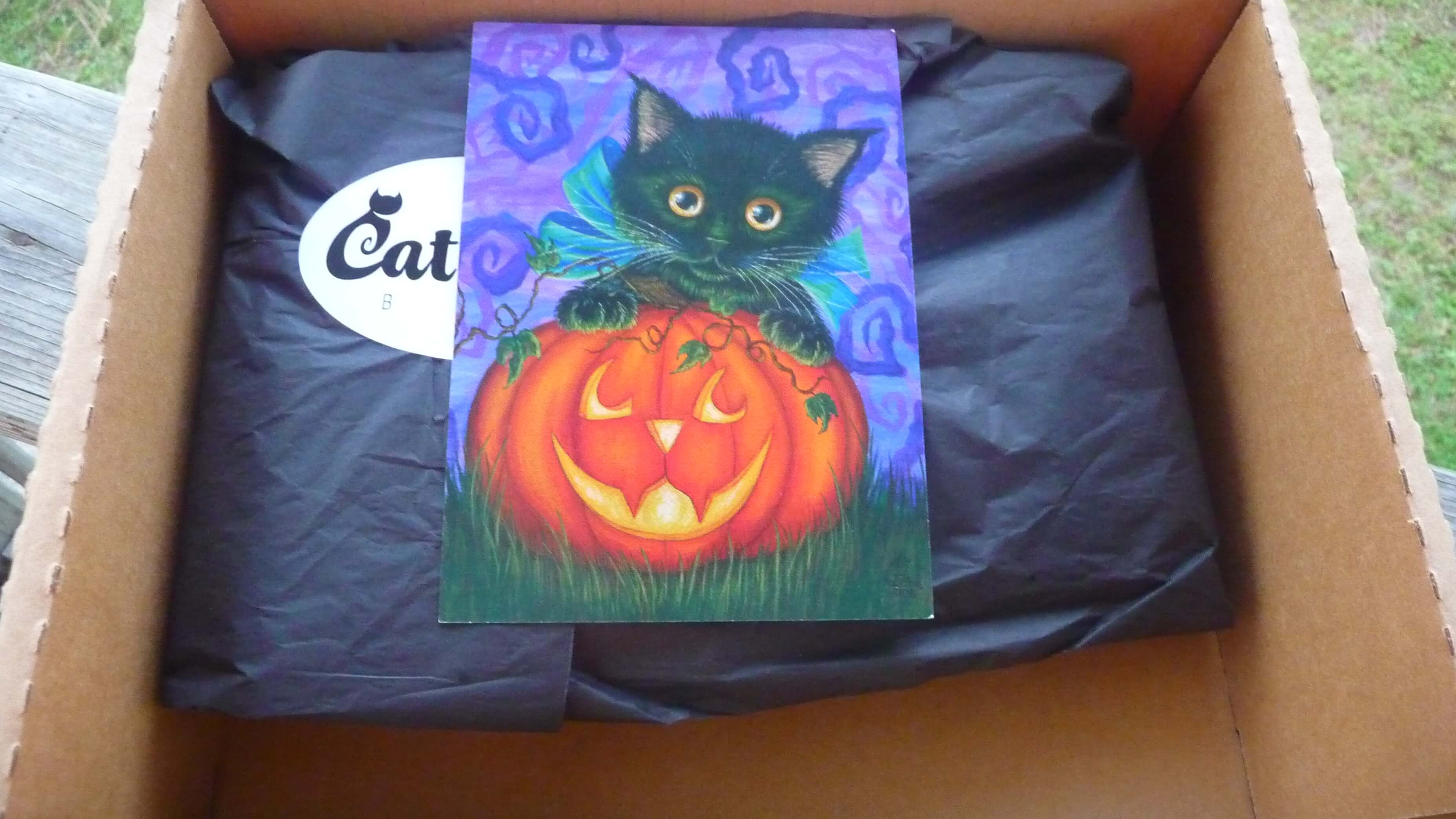 Cat Lady Box October 2016 Subscription Box Review - Hello Subscription