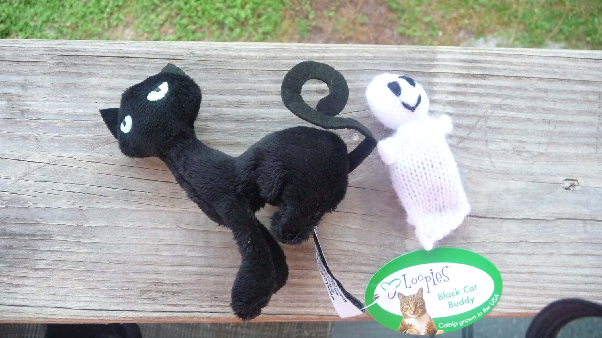 Cat Lady Box October 2016 Subscription Box Review - Hello Subscription