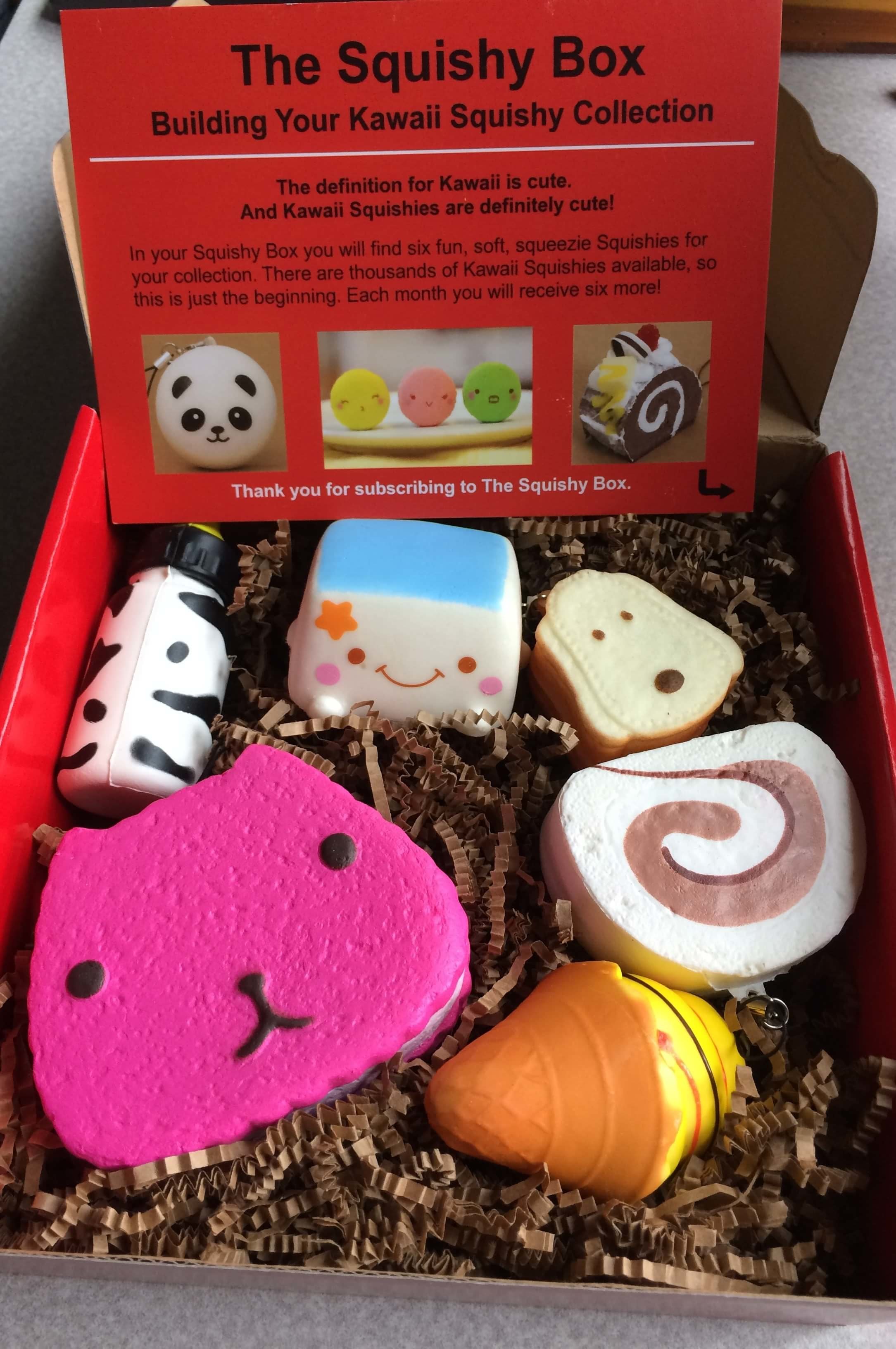 The Squishy Box October 2016 Subscription Box Review - Hello Subscription