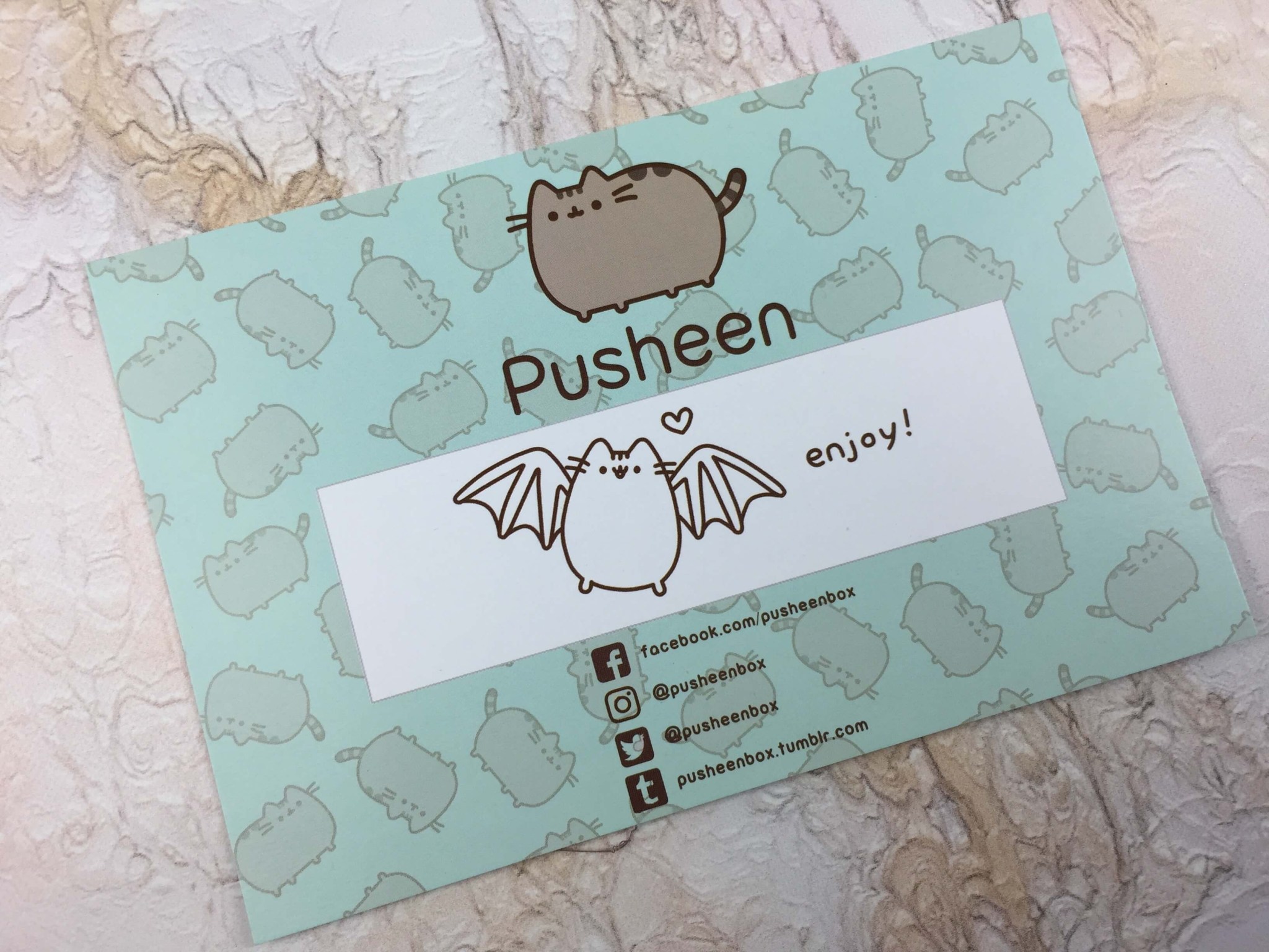 Pusheen Box Fall 2016 Subscription Box Review - Hello Subscription