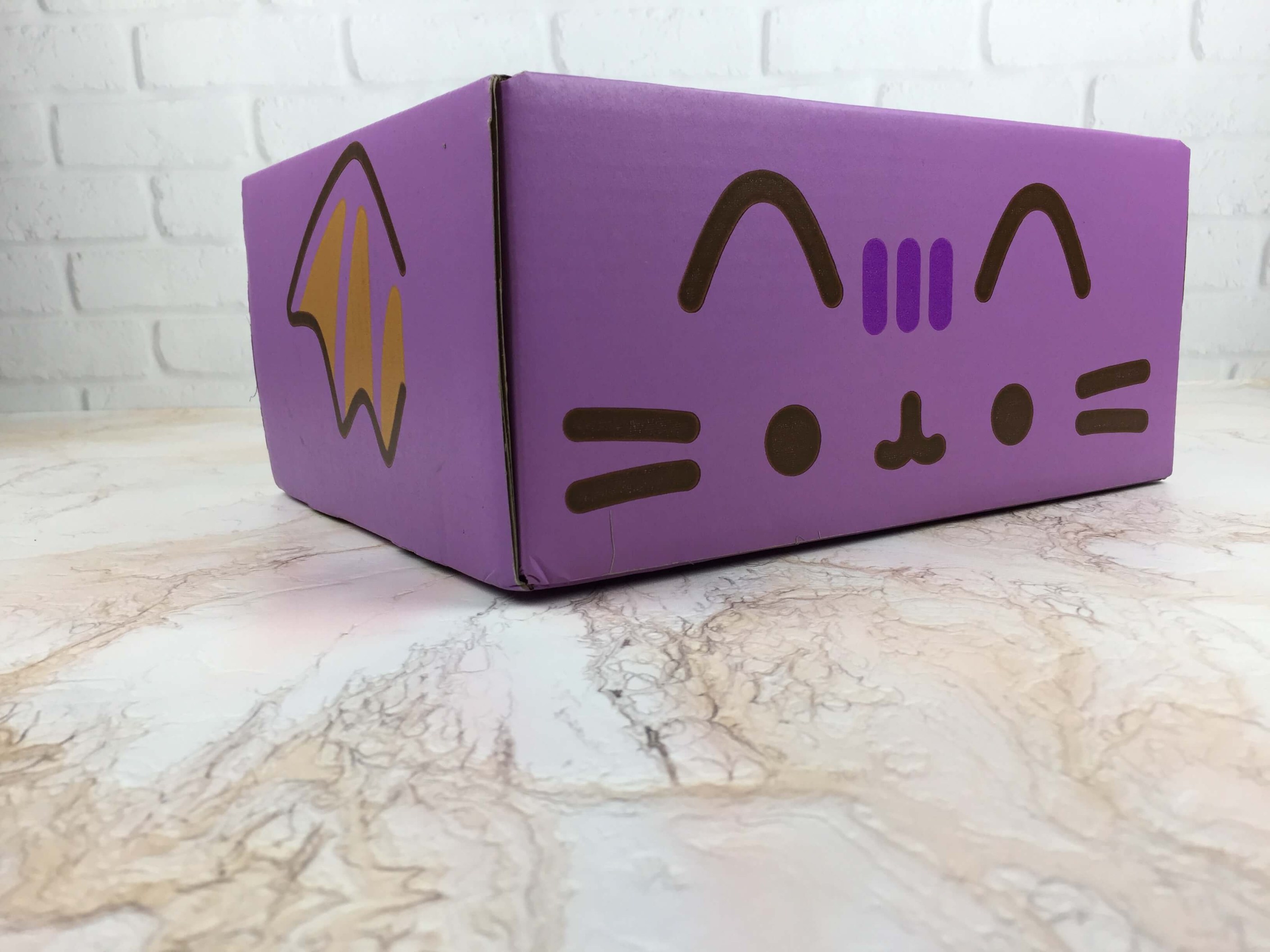 Pusheen Box Fall 2016 Subscription Box Review - Hello Subscription