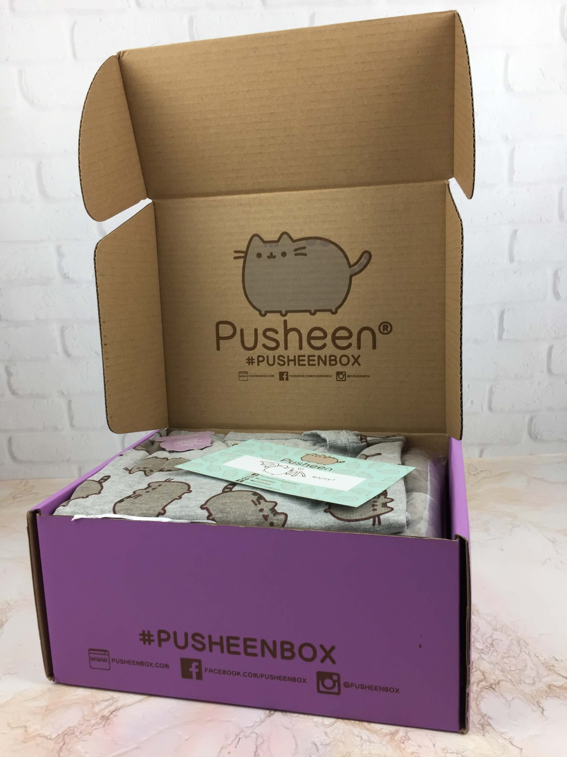 Pusheen Box Fall 2016 Subscription Box Review - Hello Subscription