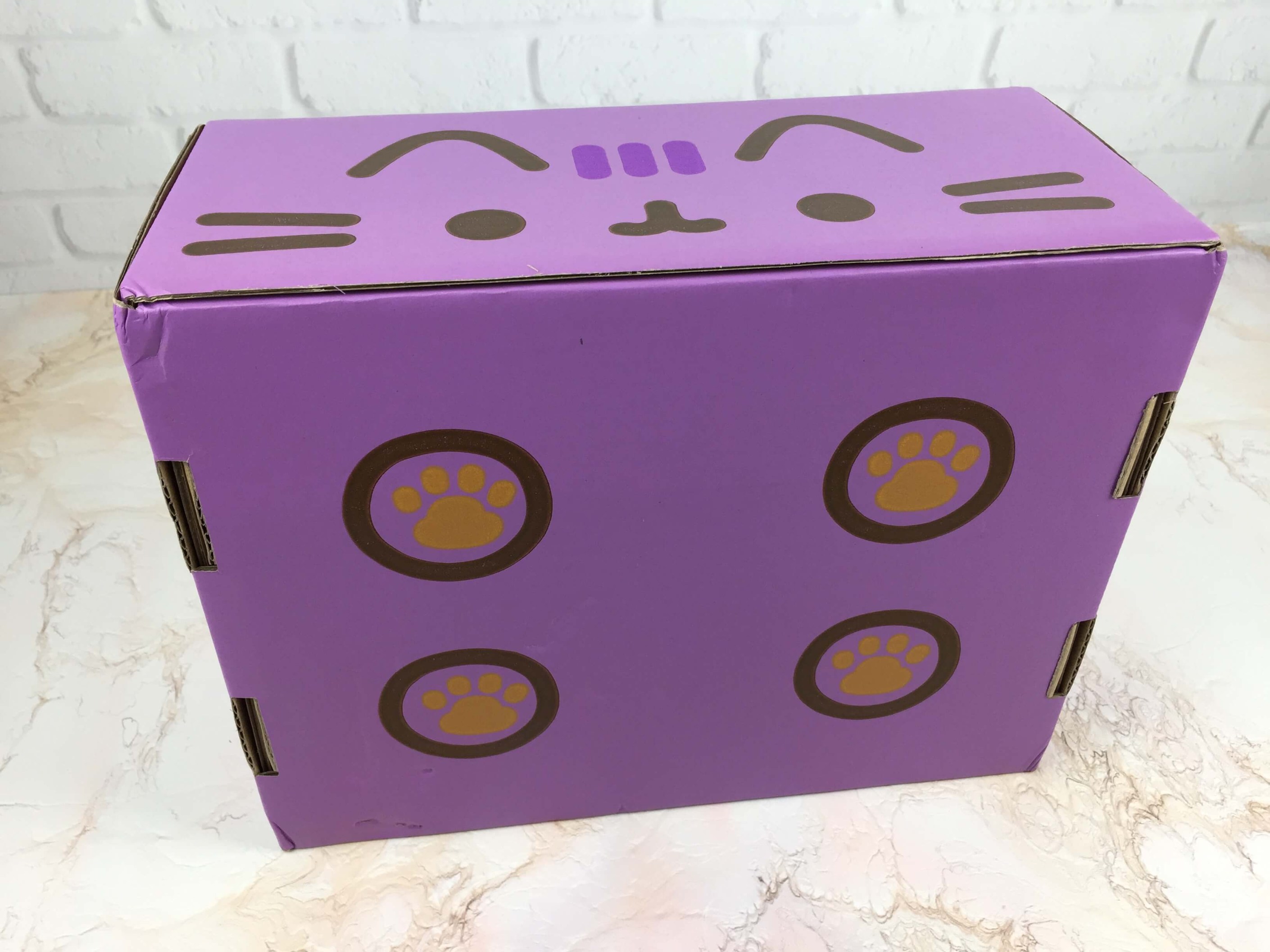 Pusheen Box Fall 2016 Subscription Box Review - Hello Subscription