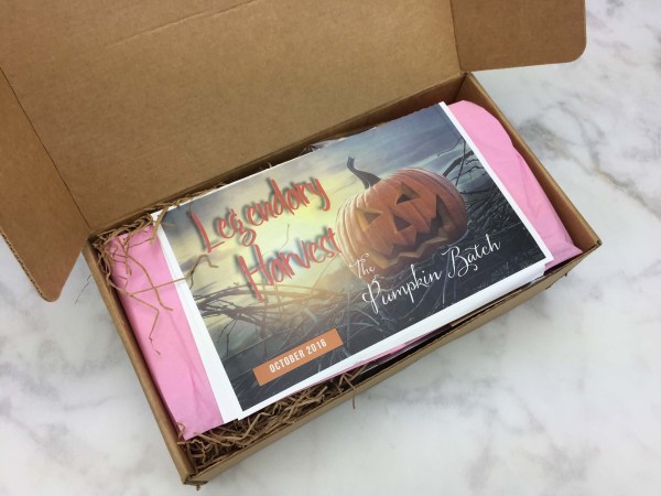 The Pumpkin Batch October 2016 Subscription Box Review - Hello Subscription