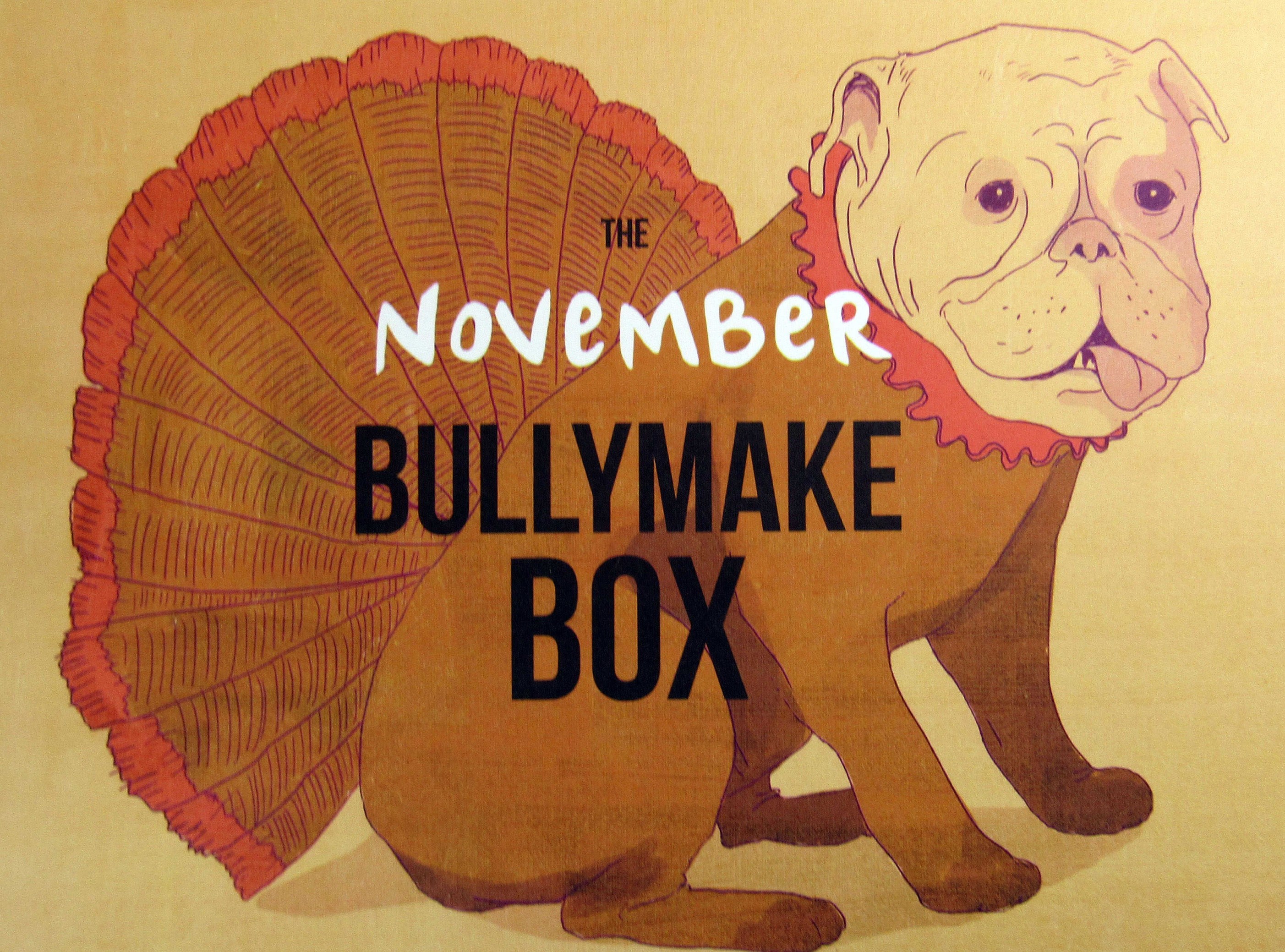 BullyMake Subscription Box Review + Coupon - November 2016 - Hello ...