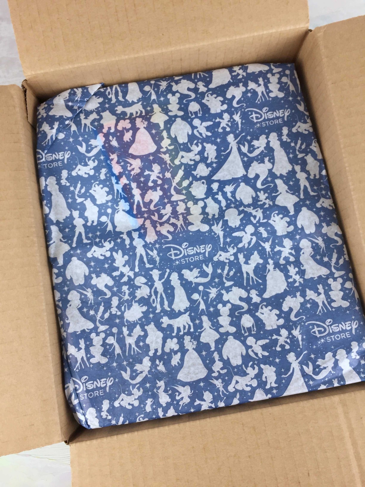 Disney Park Pack Holiday Edition November 2016 Subscription Box Review ...