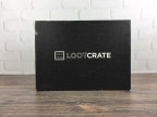 Loot Crate November 2016 Review + Coupons - MAGICAL - Hello Subscription