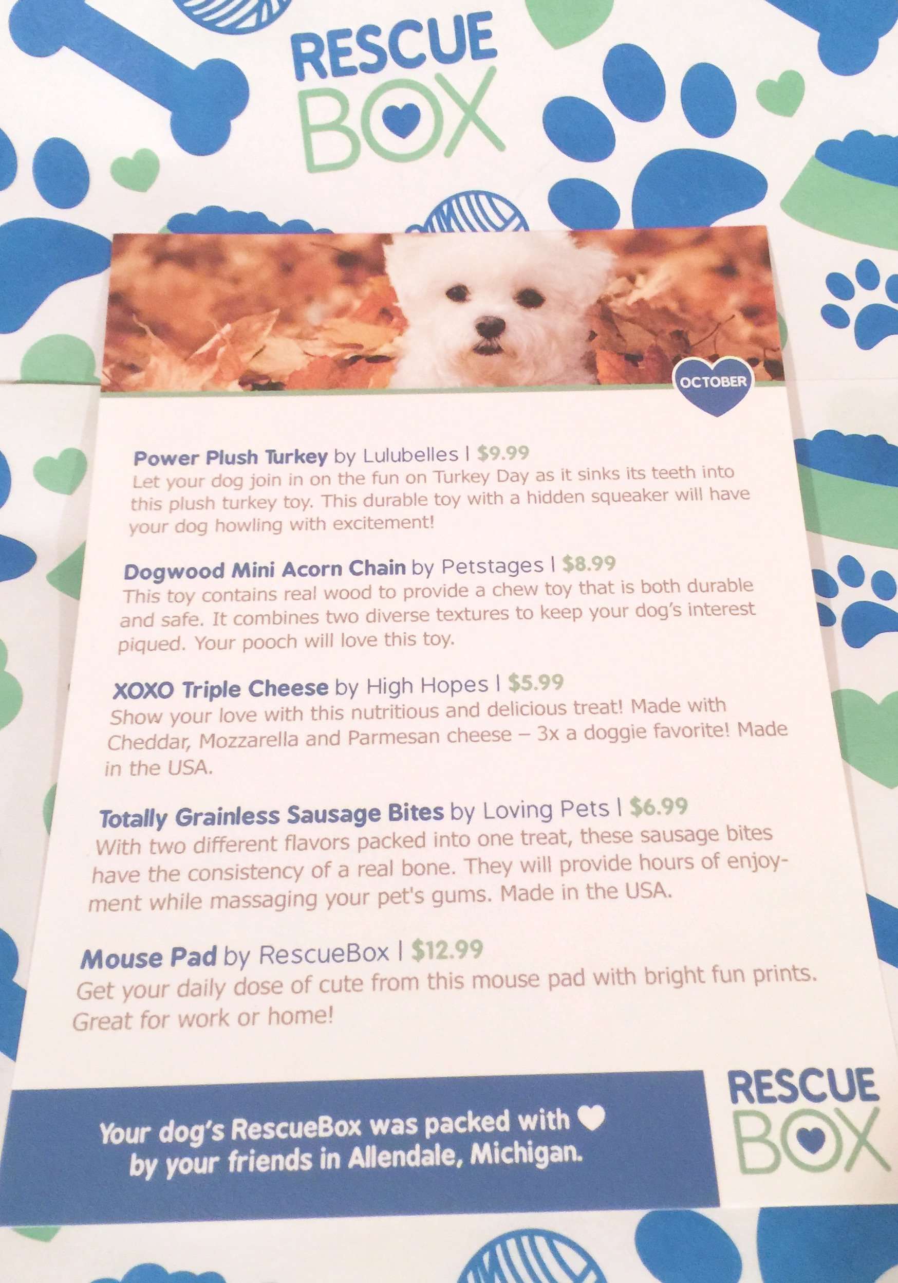 Rescue Box Subscription Box Review + Coupon - October/November 2016 ...