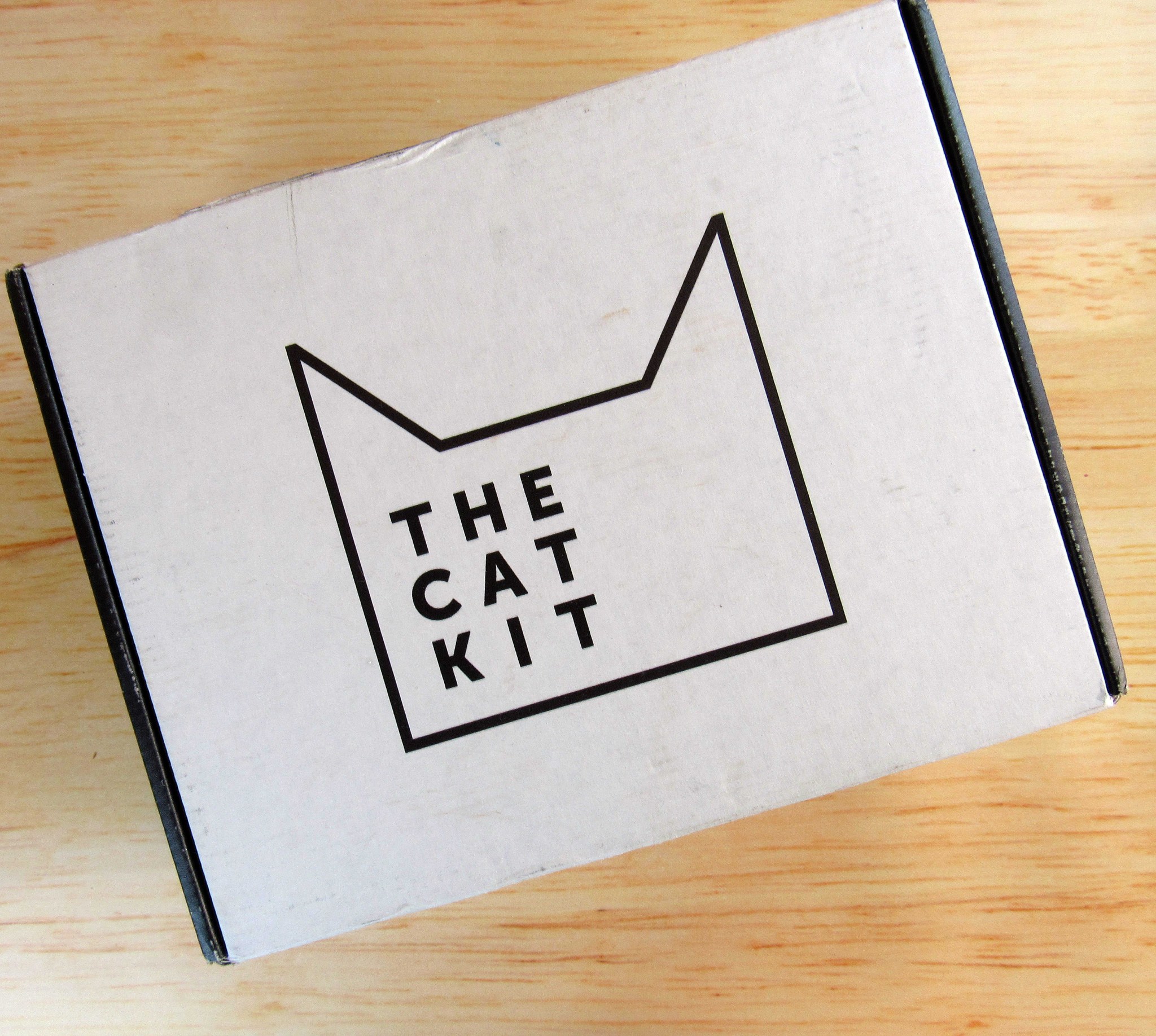 The Cat Kit Subscription Box Review + Coupon - November 2016 - Hello ...