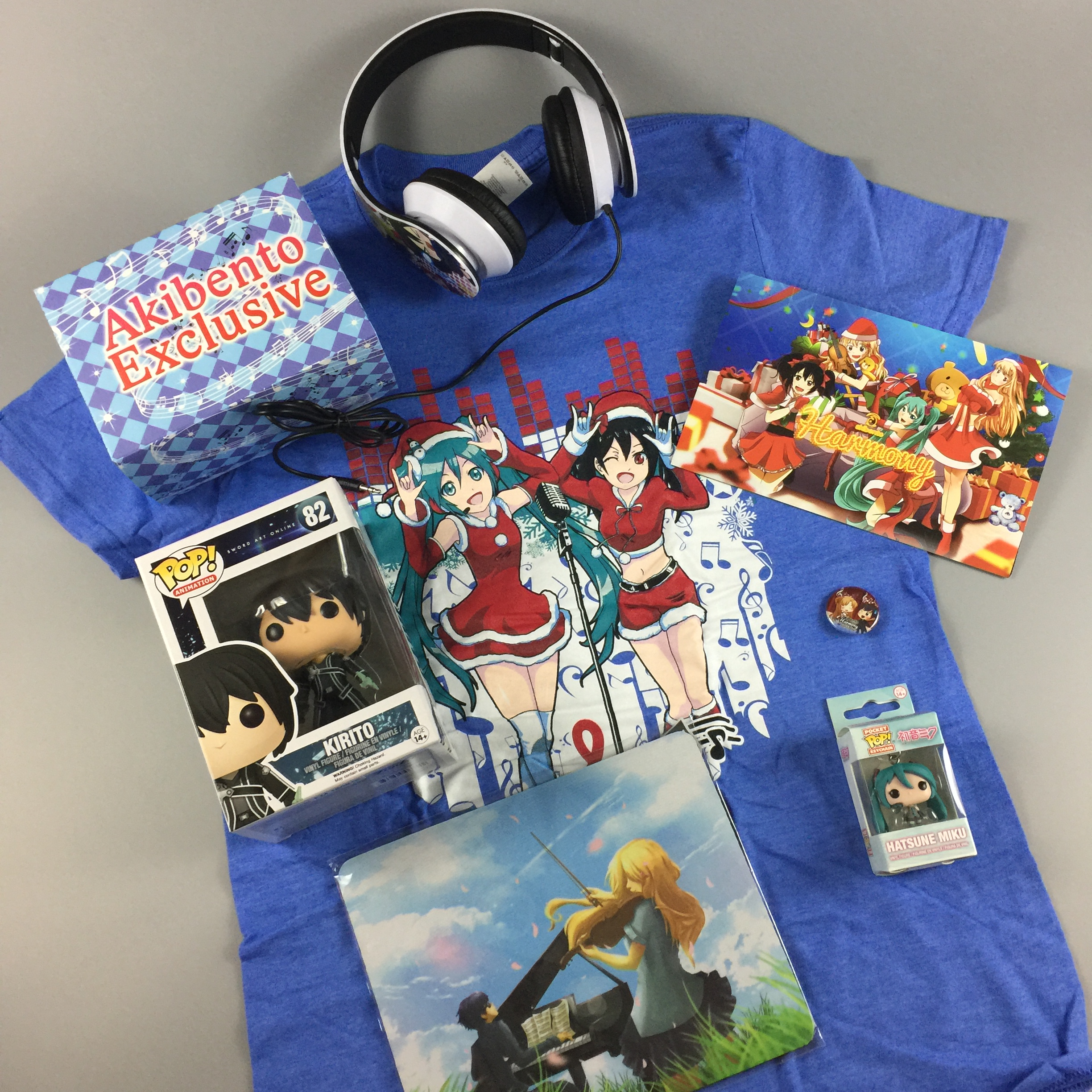 Akibento December 2016 Subscription Box Review & Coupon - Harmony ...
