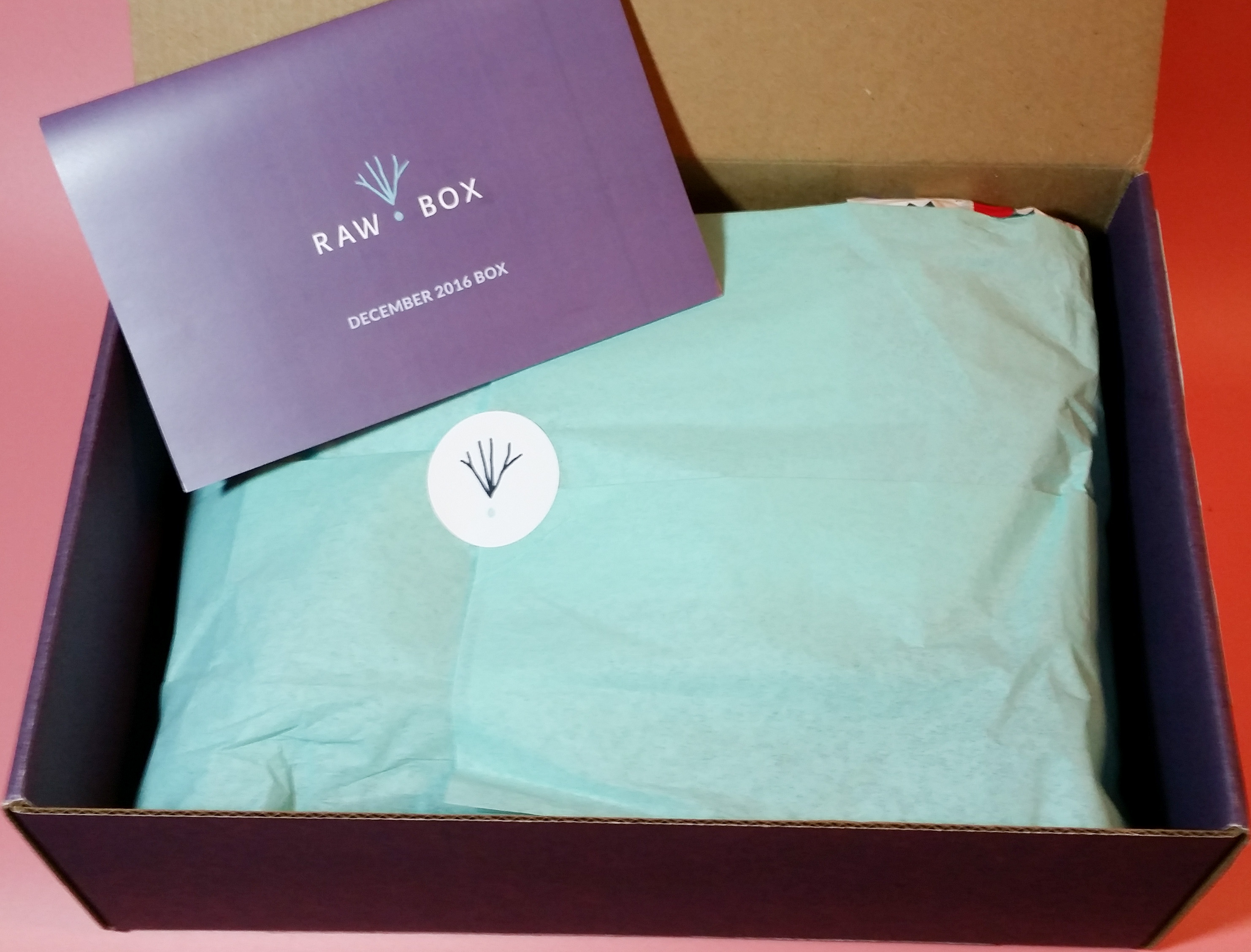December 2016 RawBox Subscription Box Review & Coupon - Hello Subscription