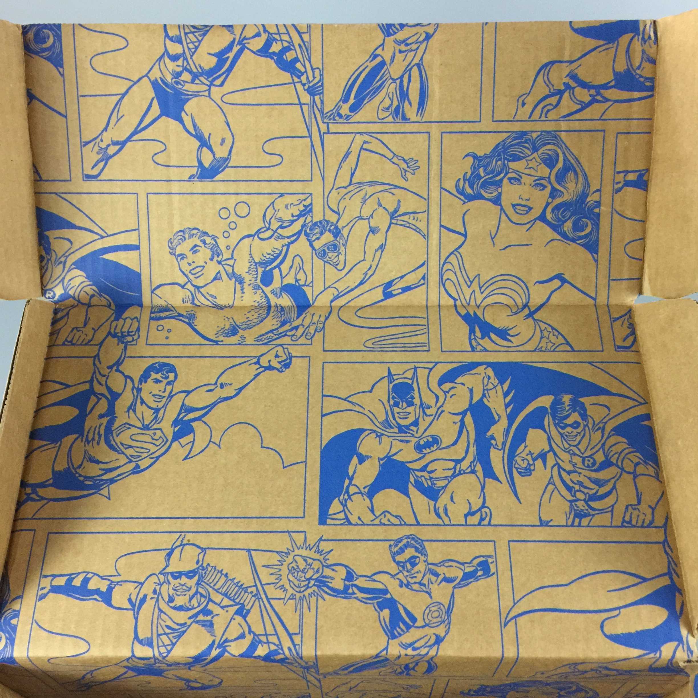 DC Legion of Collectors January 2017 Subscription Box Review - Hello ...