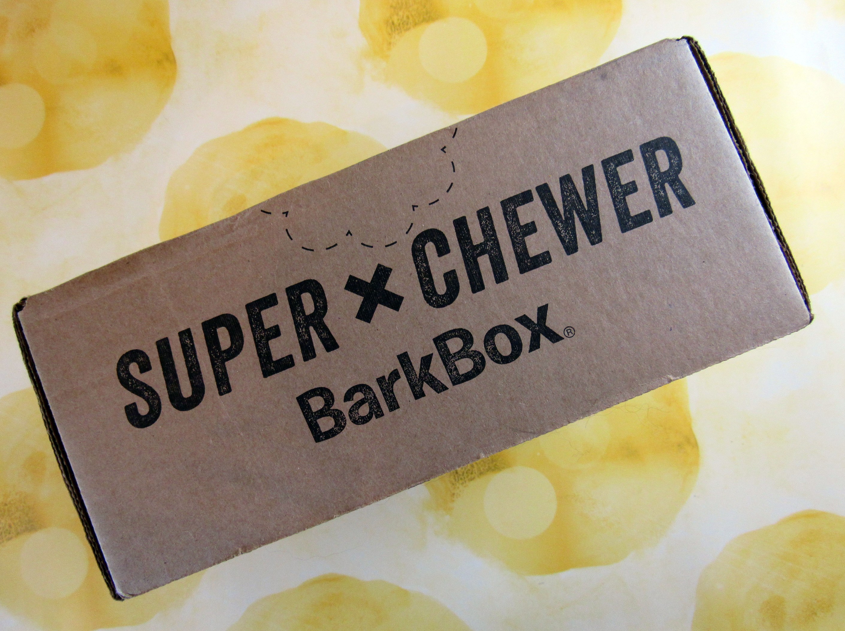 Barkbox January 2017 Subscription Box Review - Super Chewer - Hello ...
