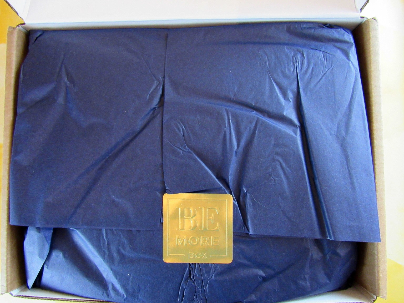 Be More Box January 2017 Subscription Box Review - Hello Subscription