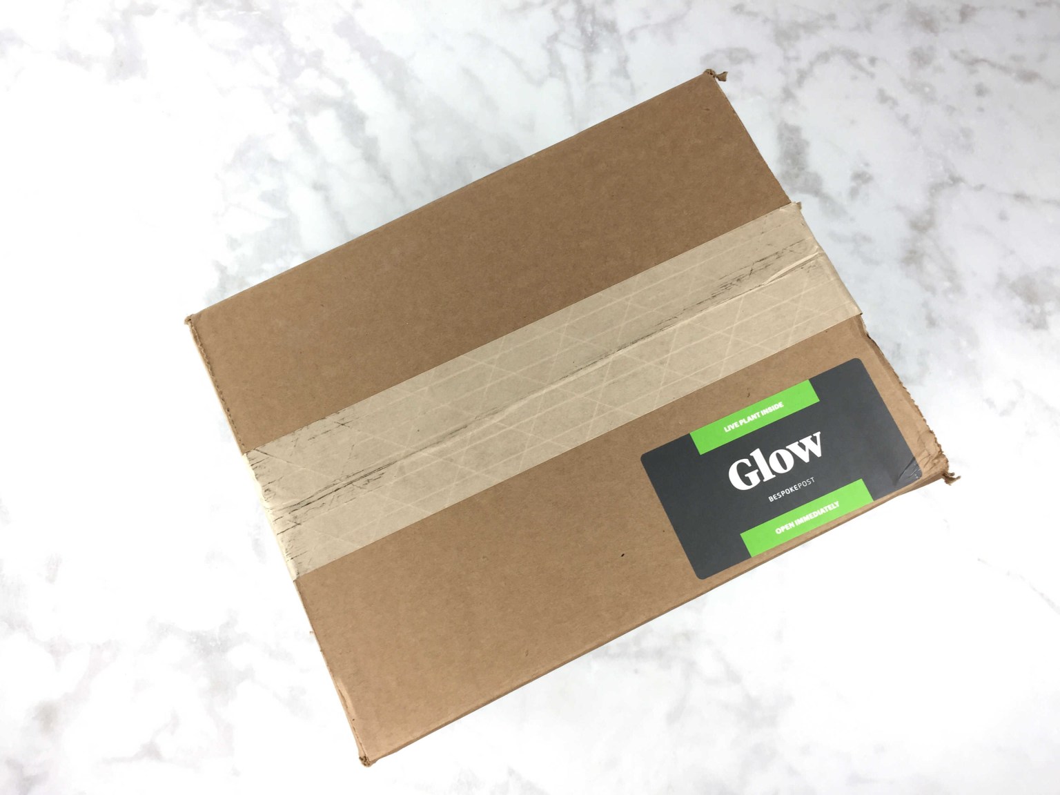 Bespoke Post GLOW Box Review & Coupon - January 2017 - Hello Subscription