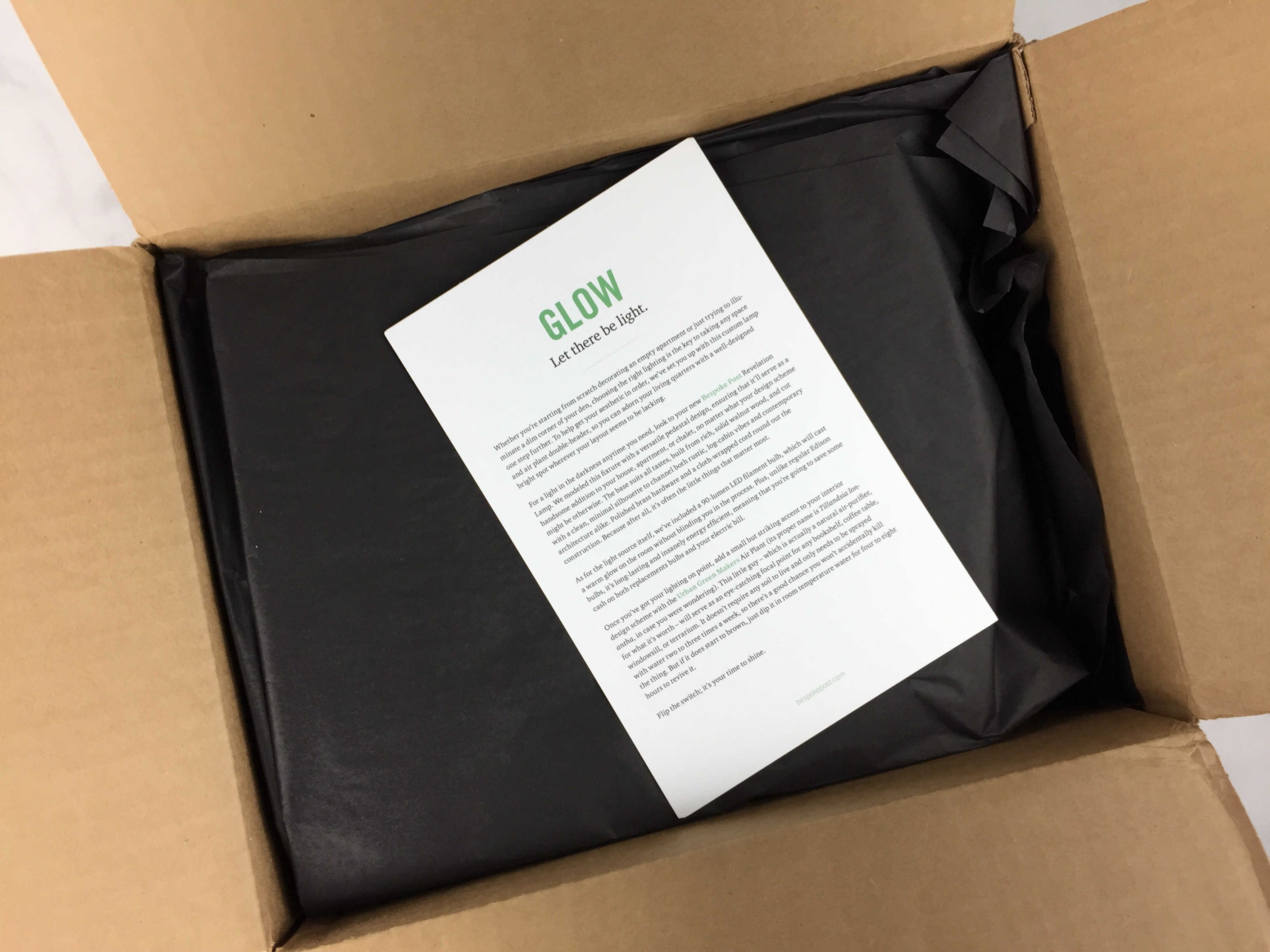 Bespoke Post GLOW Box Review & Coupon - January 2017 - Hello Subscription