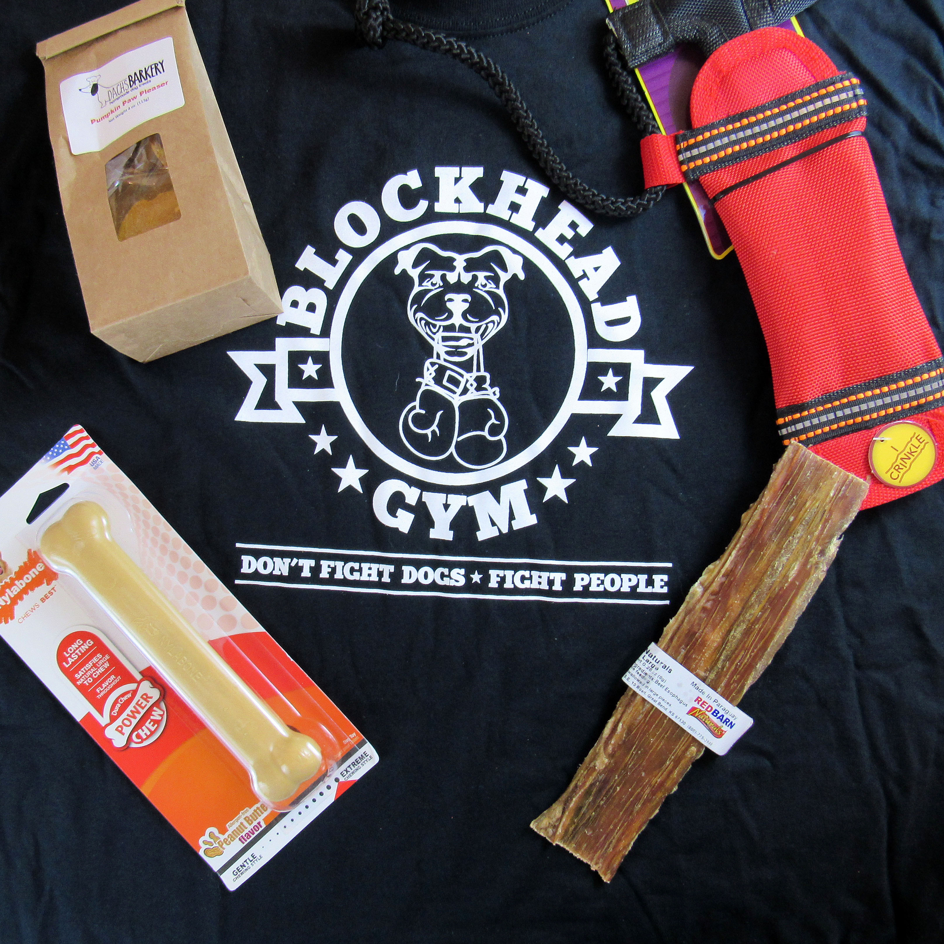 Blockhead Box January 2017 Subscription Box Review + Coupon - Hello ...