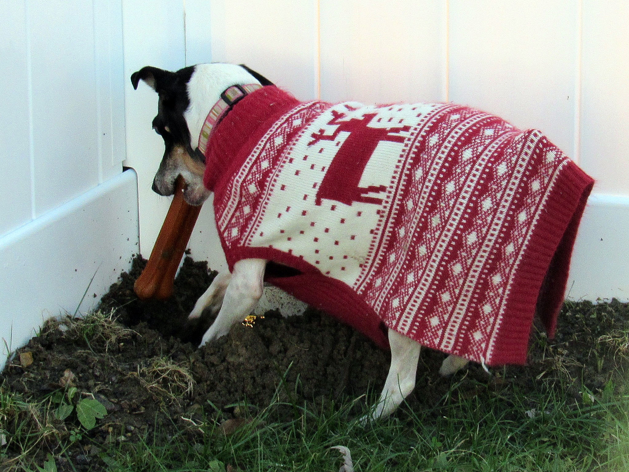 BullyMake Subscription Box Review + Coupon - December 2016 - hello ...