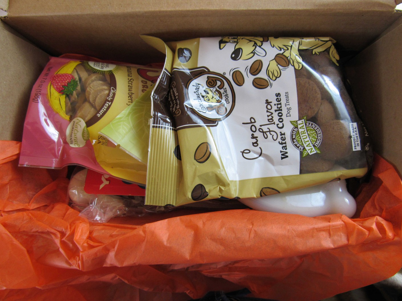 BullyMake Subscription Box Review + Coupon - January 2017 - Hello ...