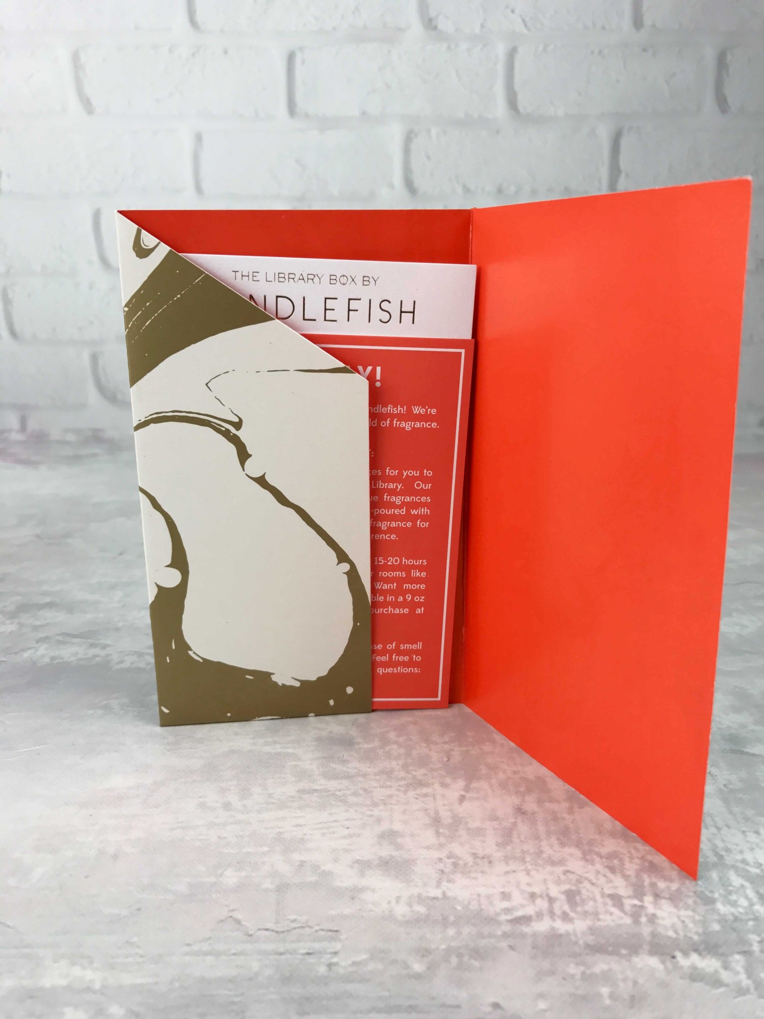 The Library Box by Candlefish January 2017 Subscription Box Review ...