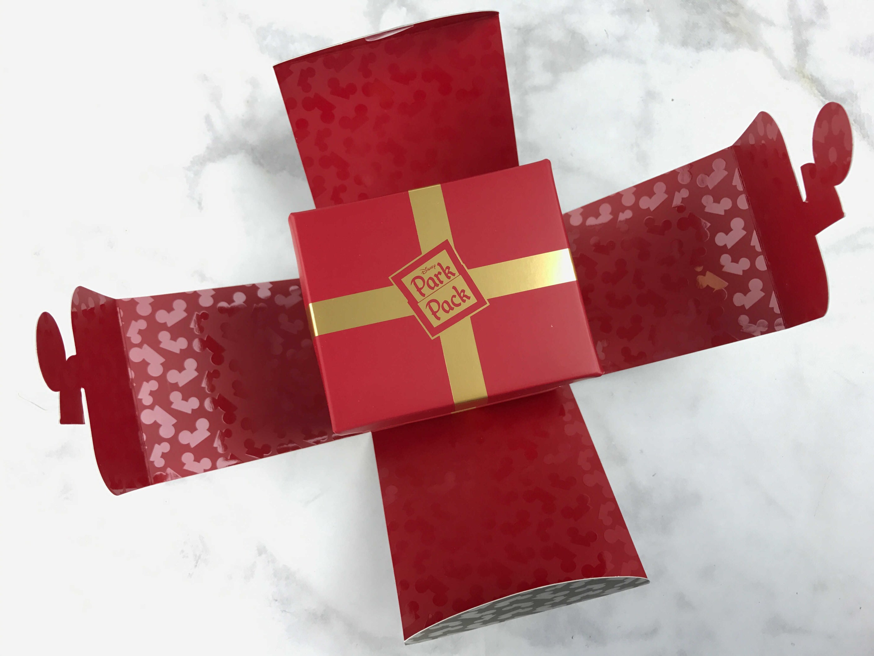 Disney Park Pack Holiday Edition January 2017 Subscription Box - Hello ...