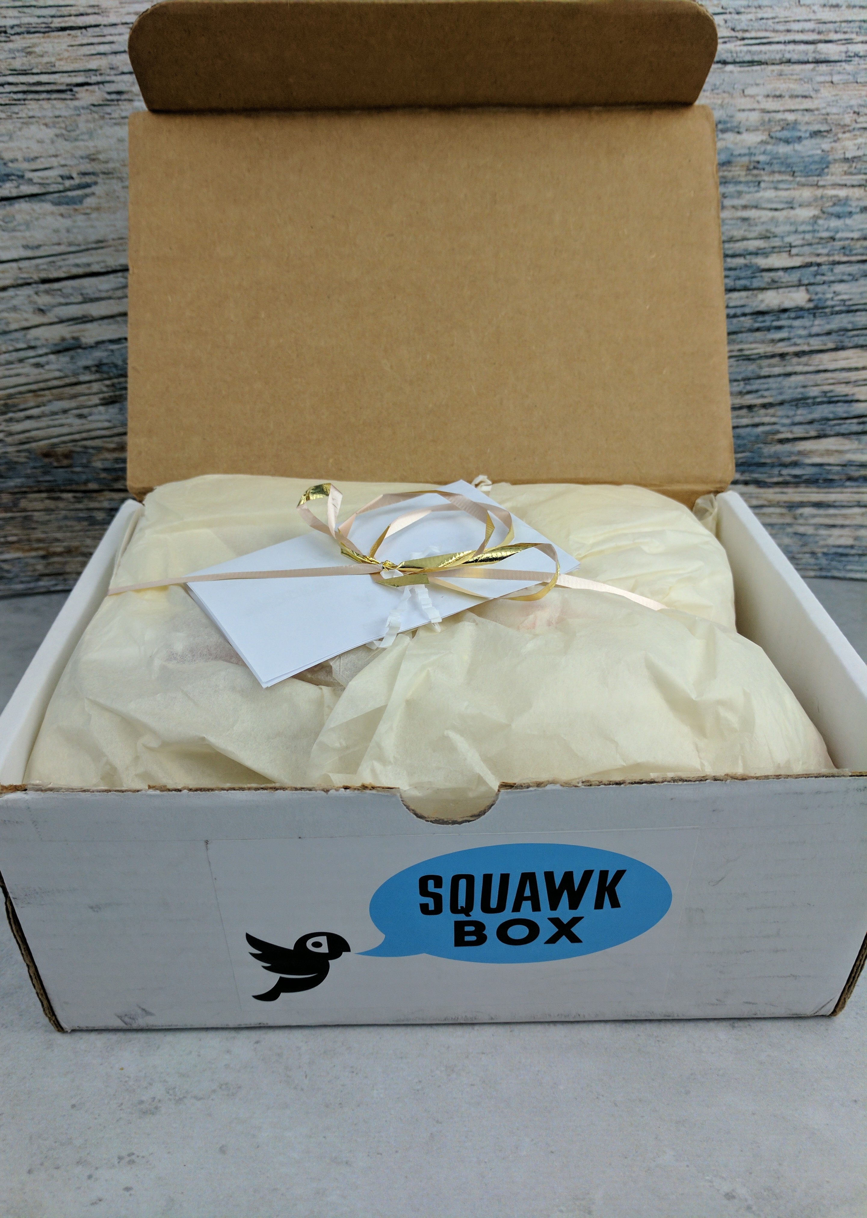Squawk Box Subscription Box Review - January 2017 - Hello Subscription