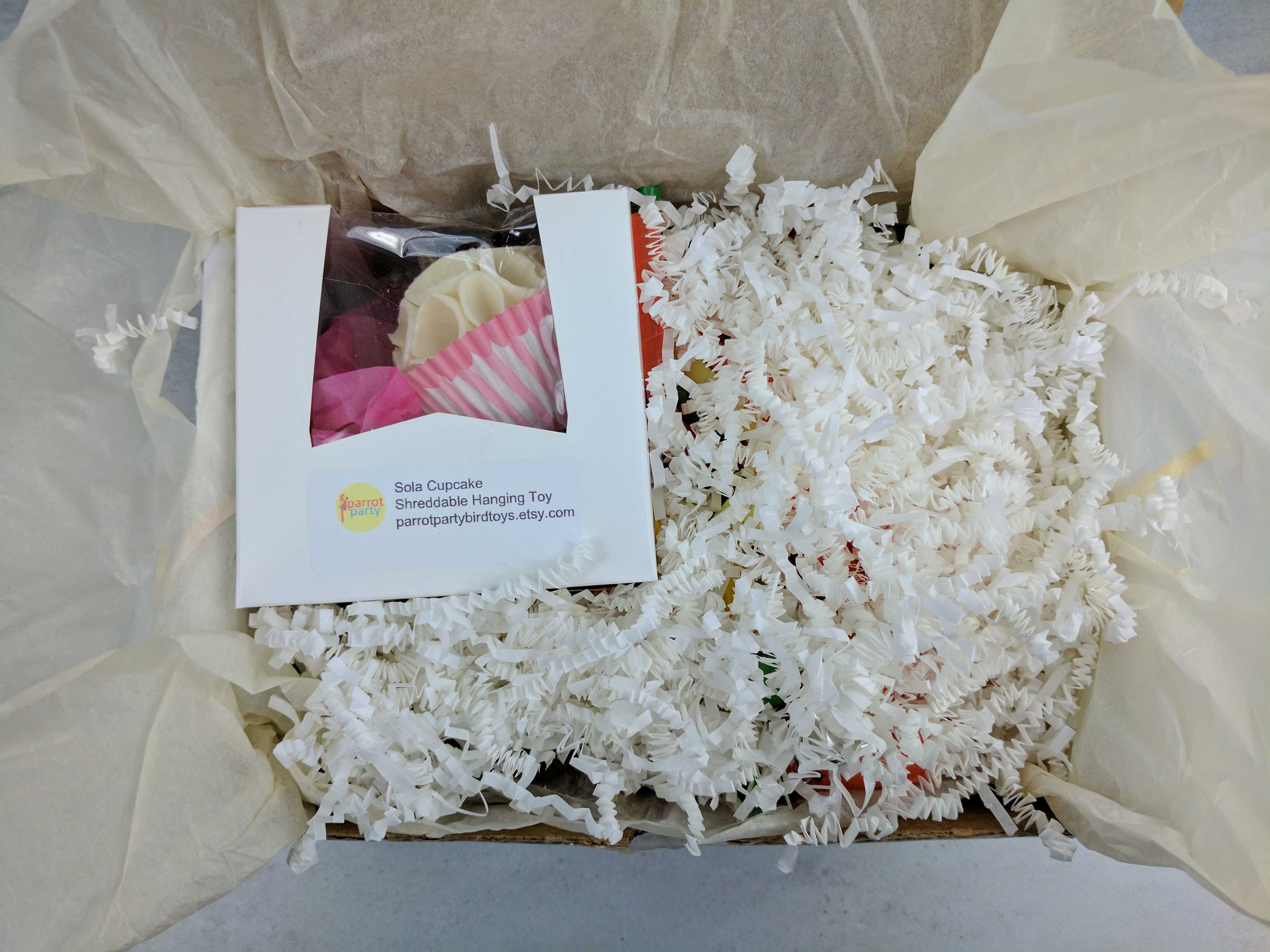 Squawk Box Subscription Box Review - January 2017 - Hello Subscription