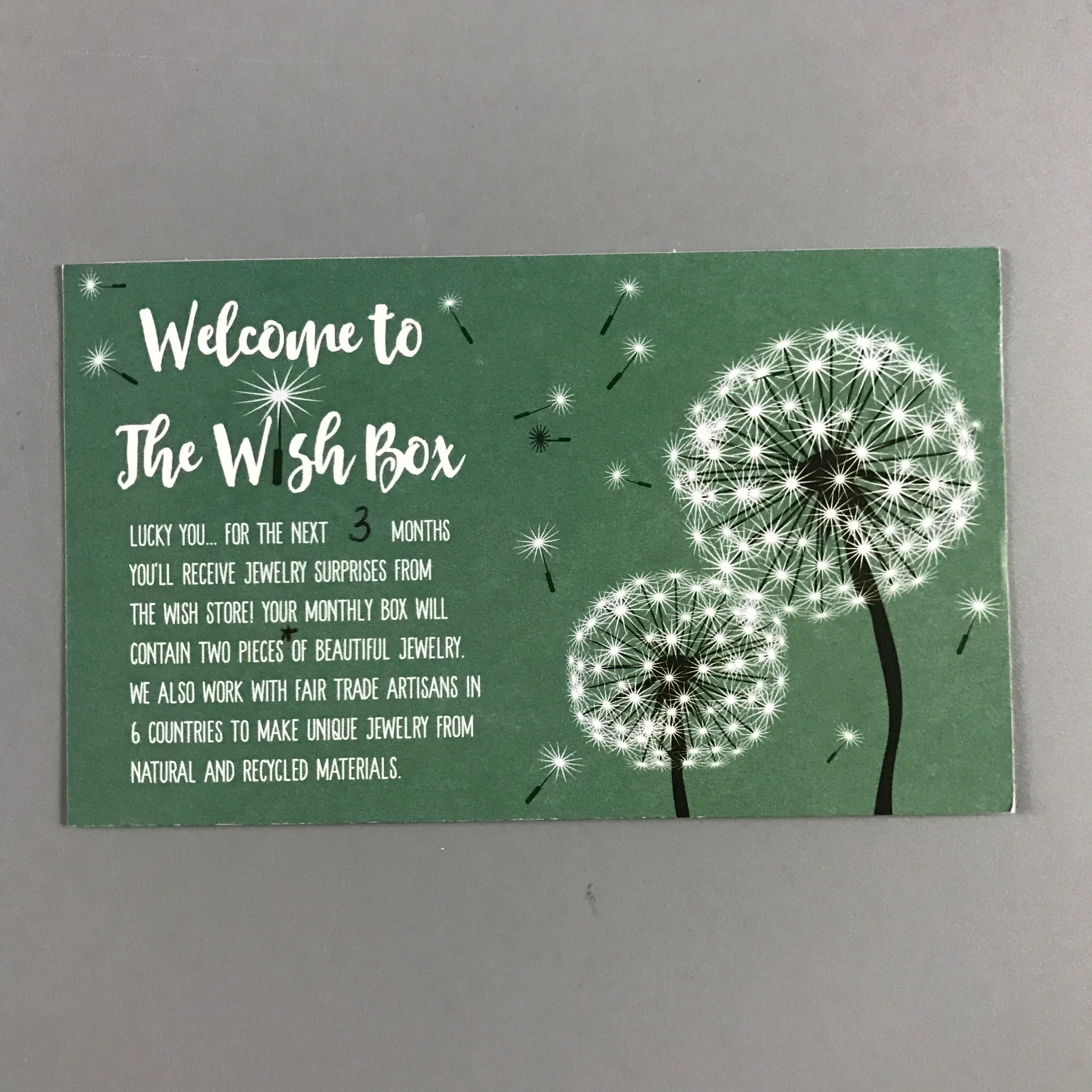 The Wish Box by The Wish Store Subscription Box Review + Coupon ...