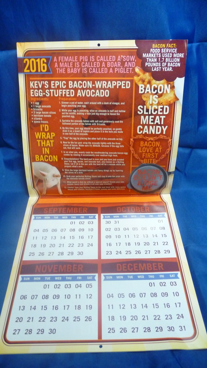 Stay Regular Monthly Mystery Box January 2017 Subscription Box Review ...