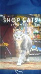 The Cat Kit January 2017 Monthly Subscription Box Review + Coupon ...