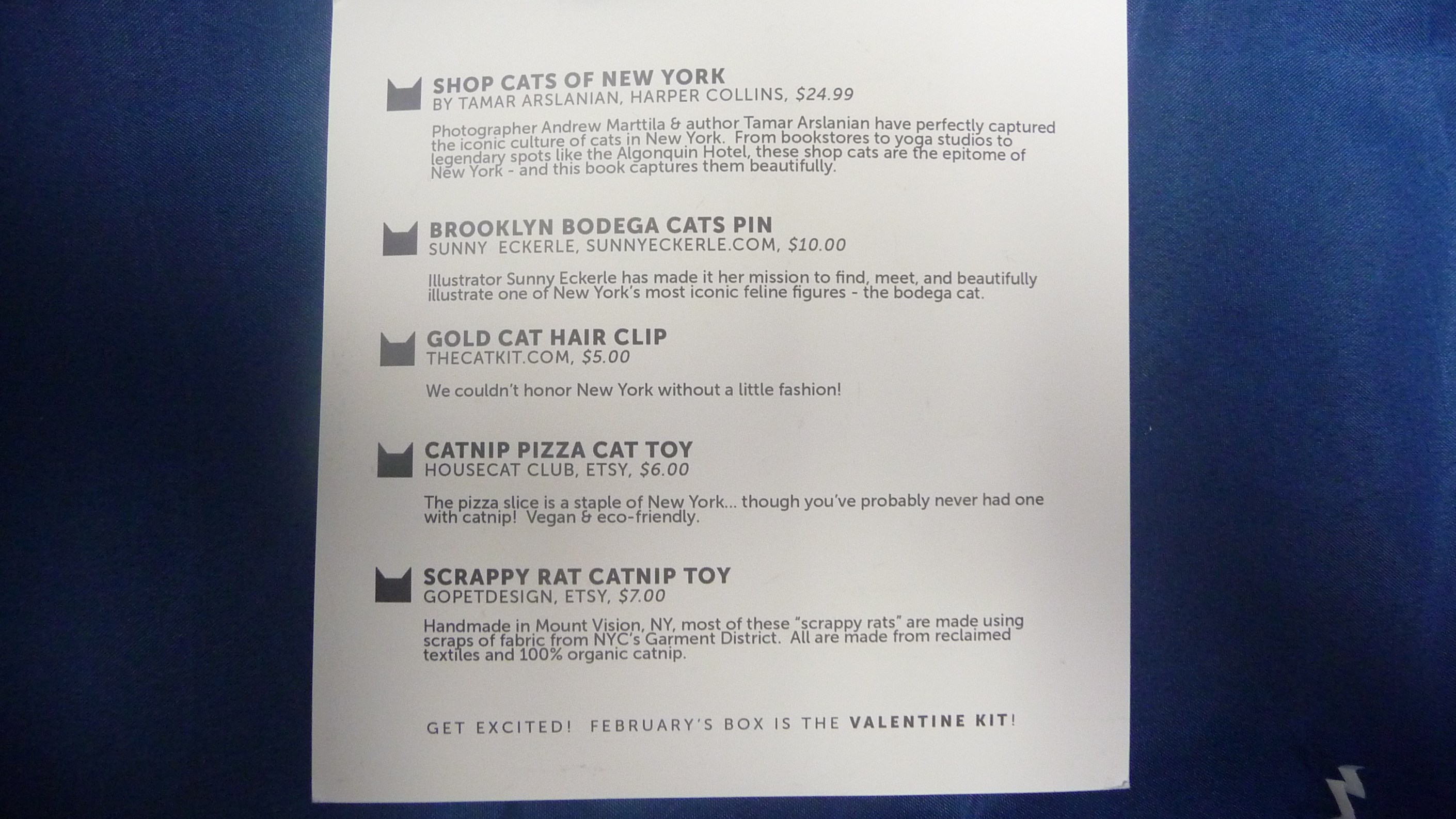 The Cat Kit January 2017 Monthly Subscription Box Review + Coupon ...