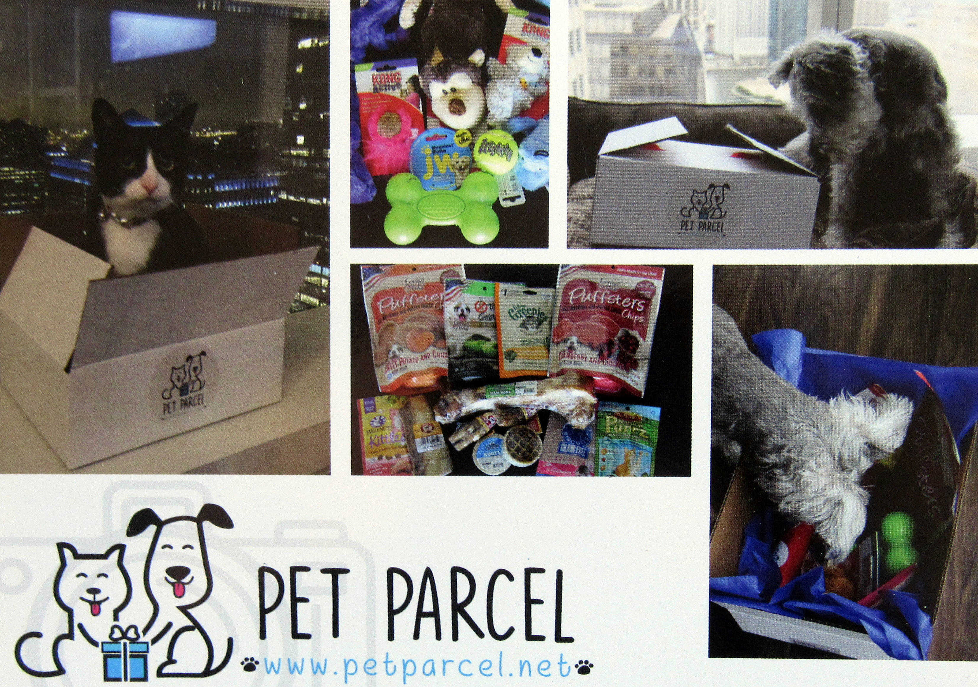 Pet Parcel February 2017 Subscription Box Review + Coupon - Cat and Dog ...
