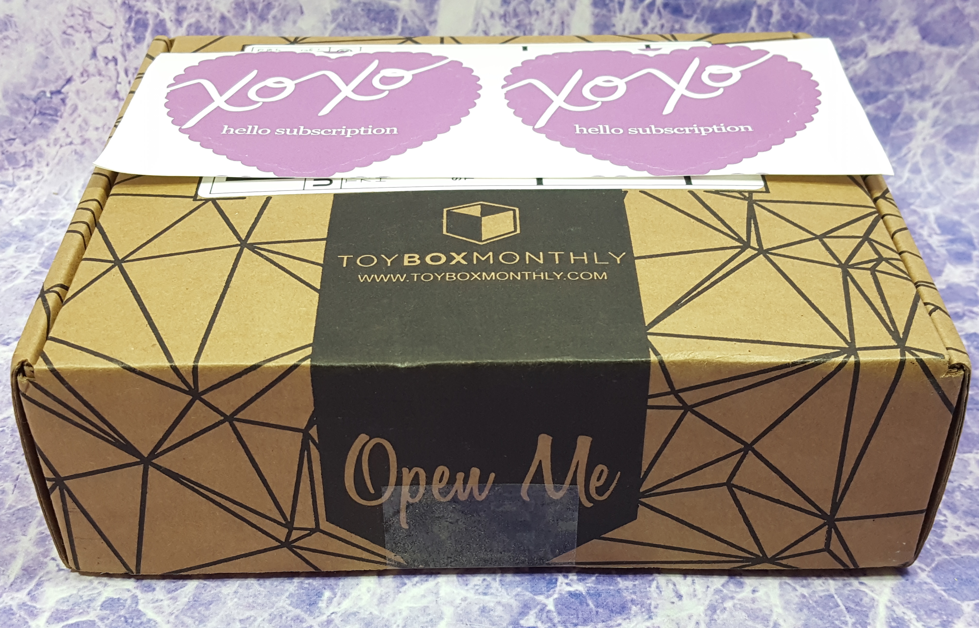 Toy Box Monthly January 2017 Subscription Box Review - Hello Subscription