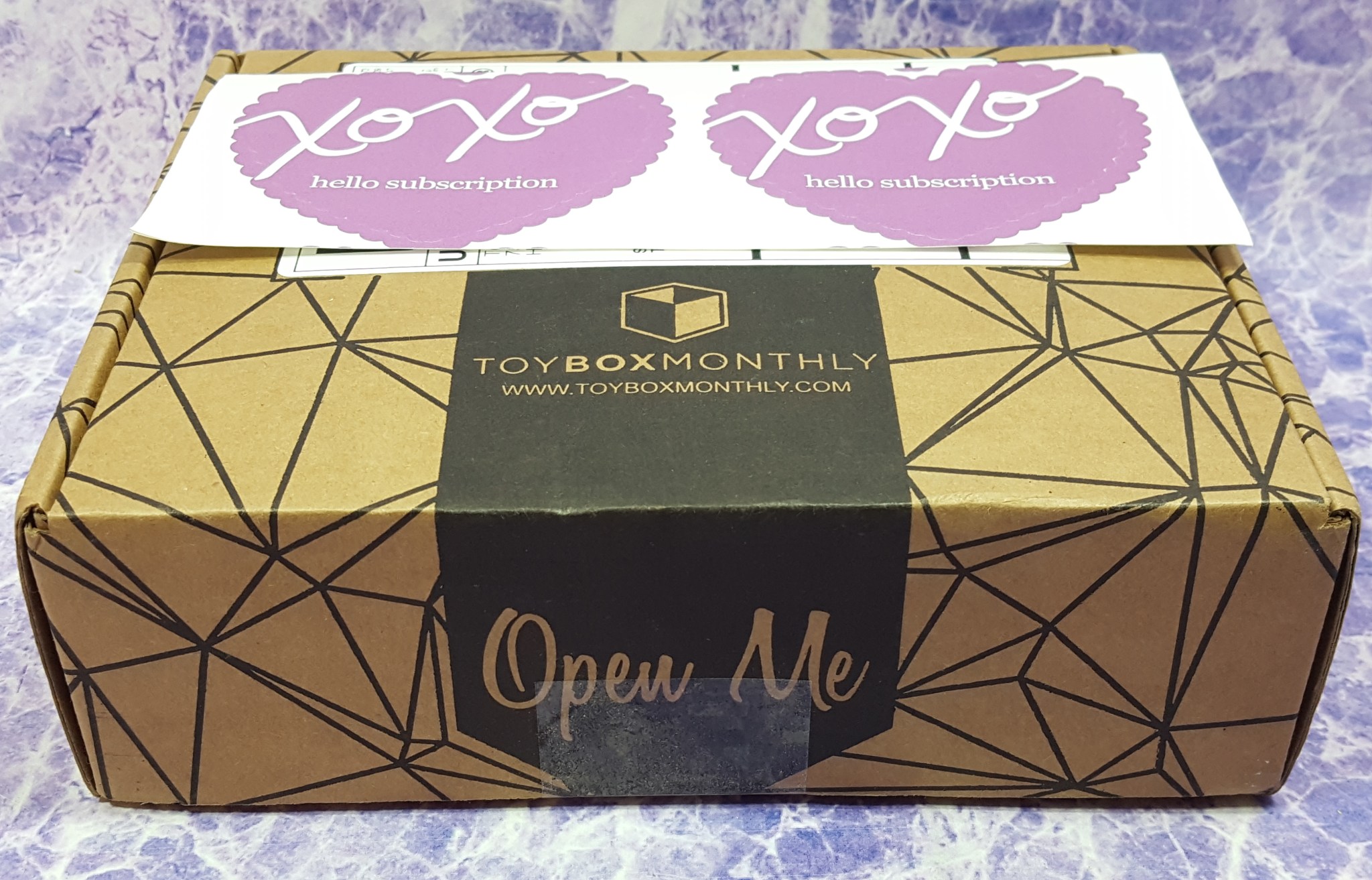 Toy Box Monthly January 2017 Subscription Box Review - Hello Subscription