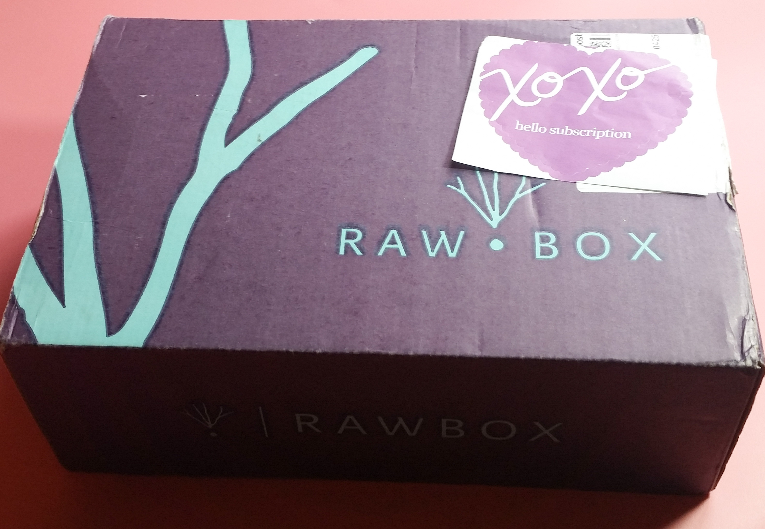 January 2017 RawBox Subscription Box Review & Coupon - Hello Subscription