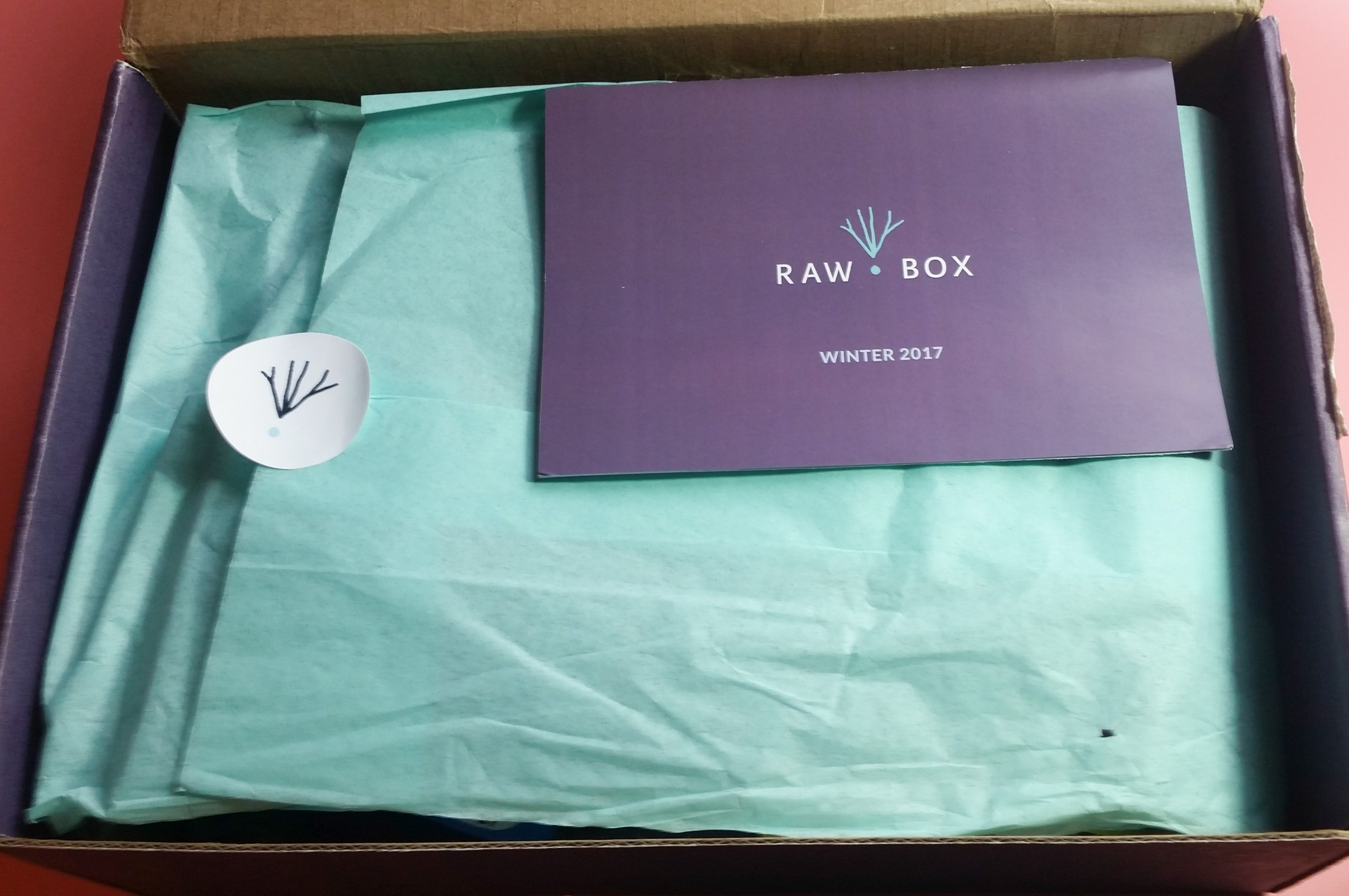 January 2017 RawBox Subscription Box Review & Coupon - Hello Subscription