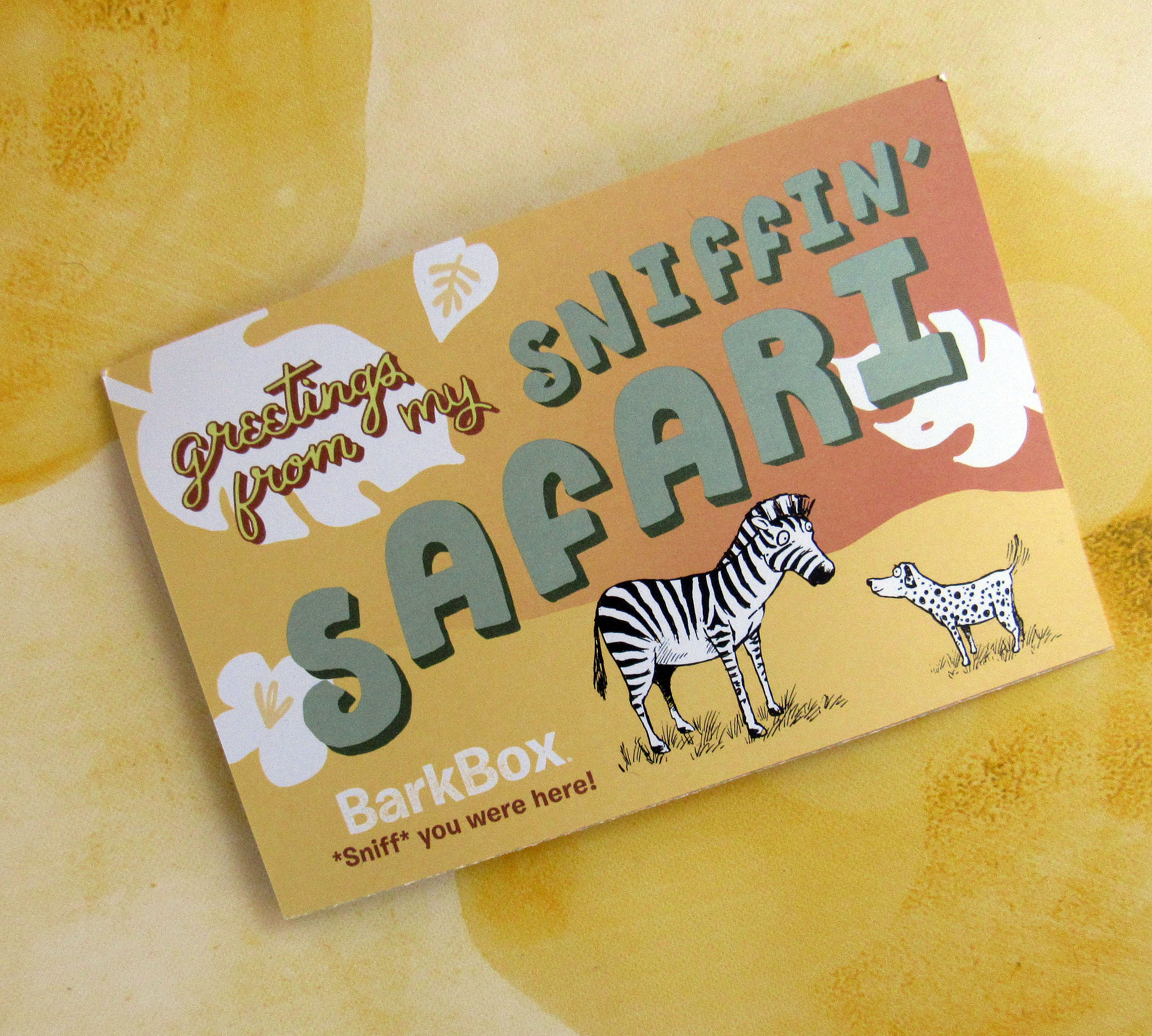 Barkbox February 2017 Subscription Box Review + Coupon - Large Dog ...