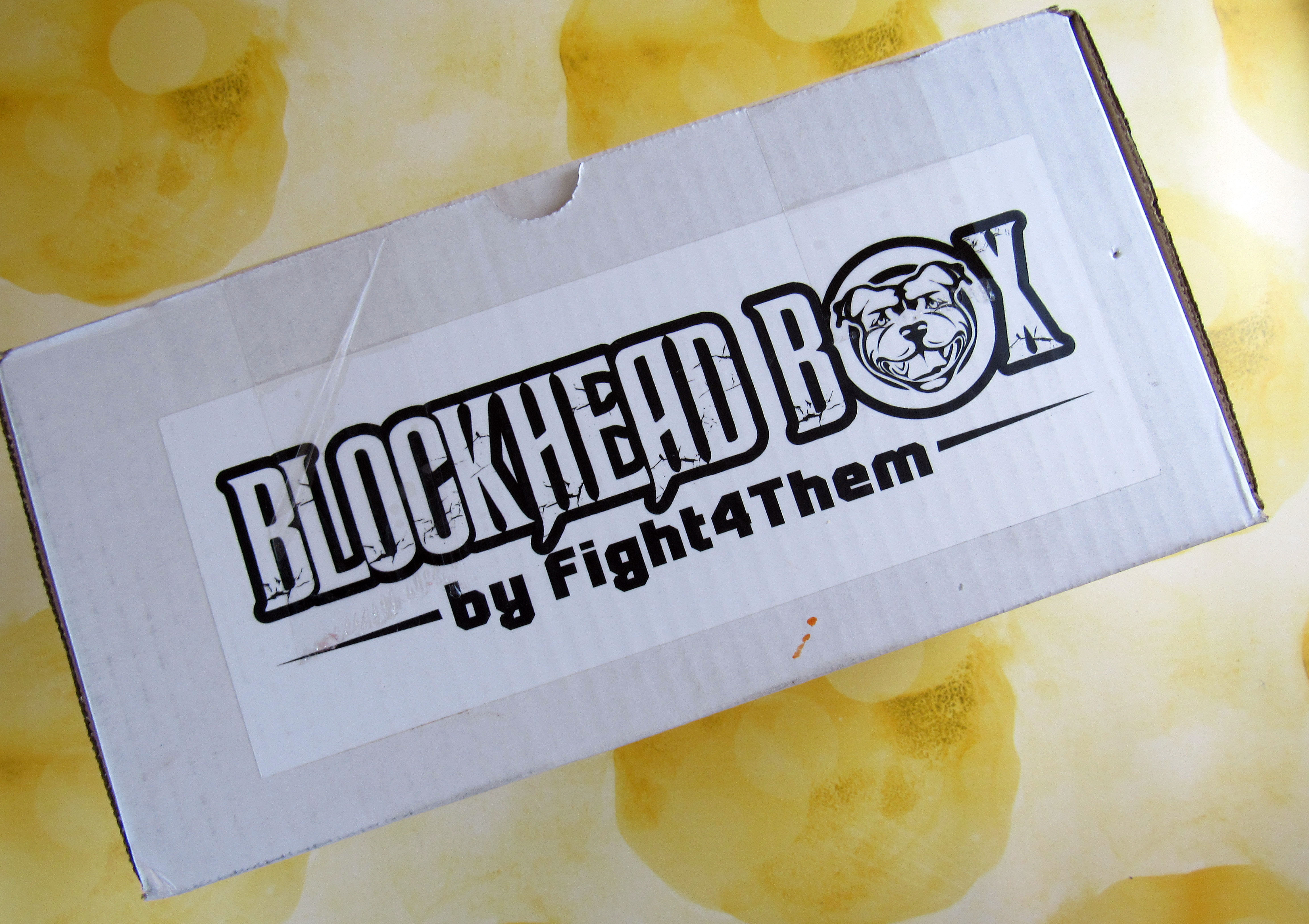 Blockhead Box February 2017 Subscription Box Review + Coupon - Hello ...