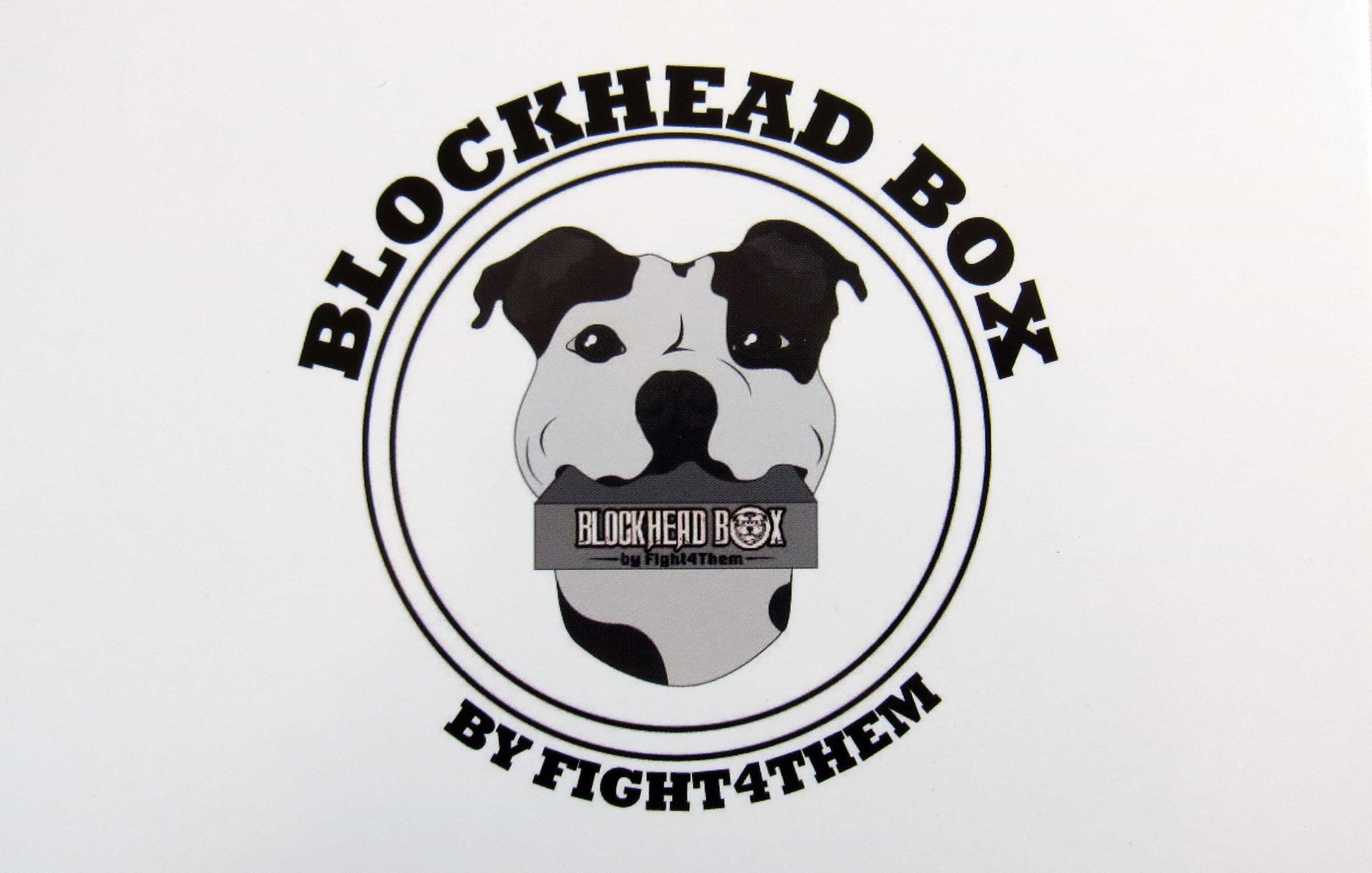 Blockhead Box February 2017 Subscription Box Review + Coupon - Hello ...