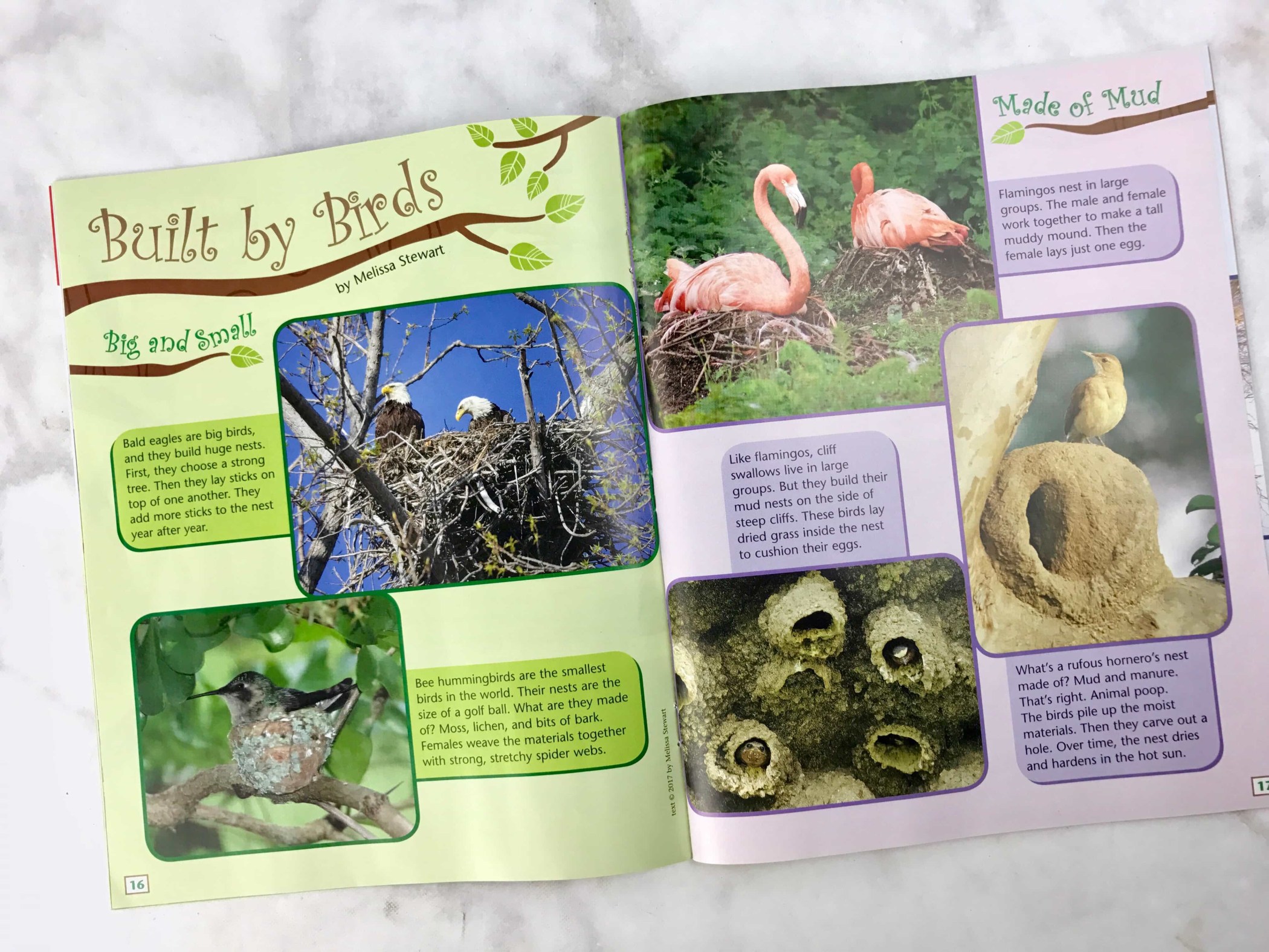 Cricket Media Magazine Subscription Review: Cricket, Click, and Ask ...