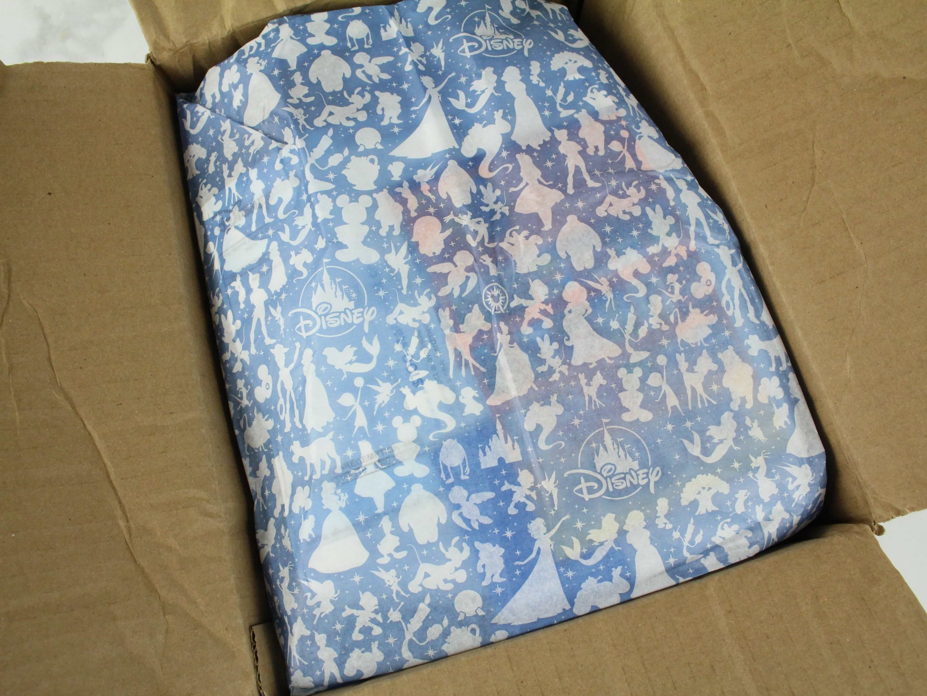 Disney Park Pack Coin Edition February 2017 Subscription Box Review ...