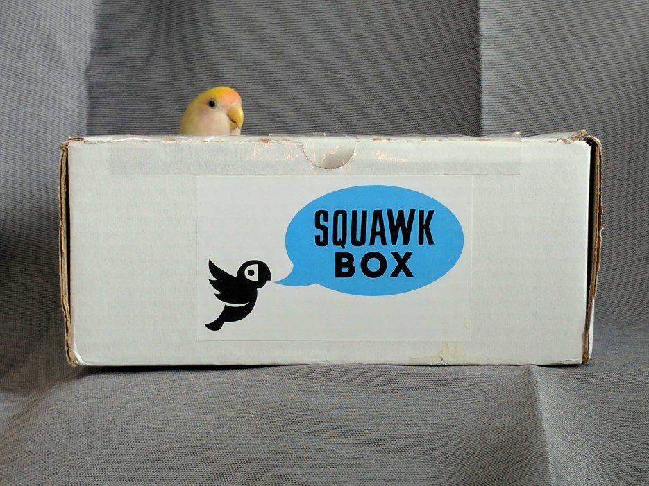Squawk Box Subscription Box Review - February 2017 - Hello Subscription