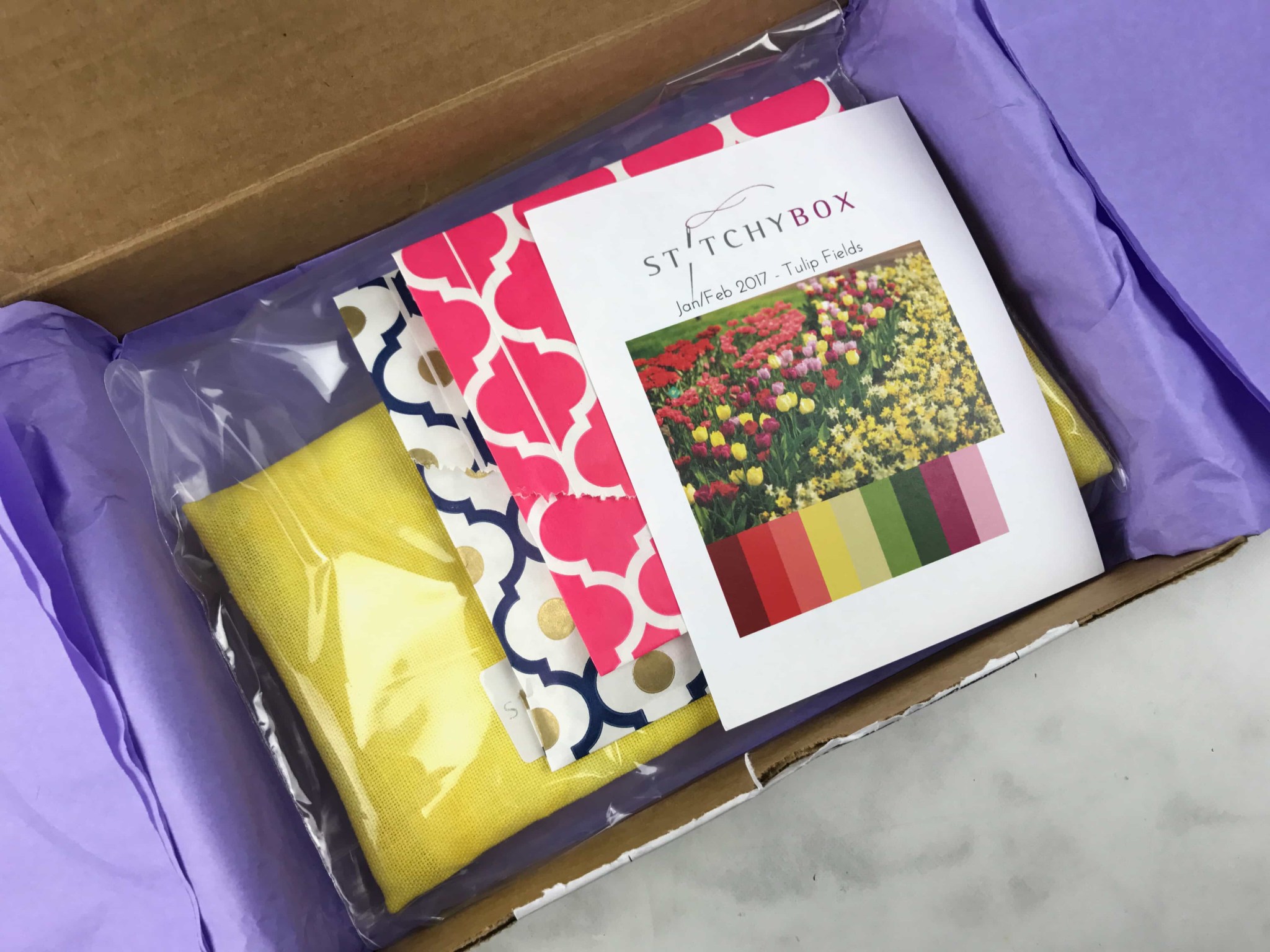 Stitchy Box January-February 2017 Subscription Box Review - Hello ...